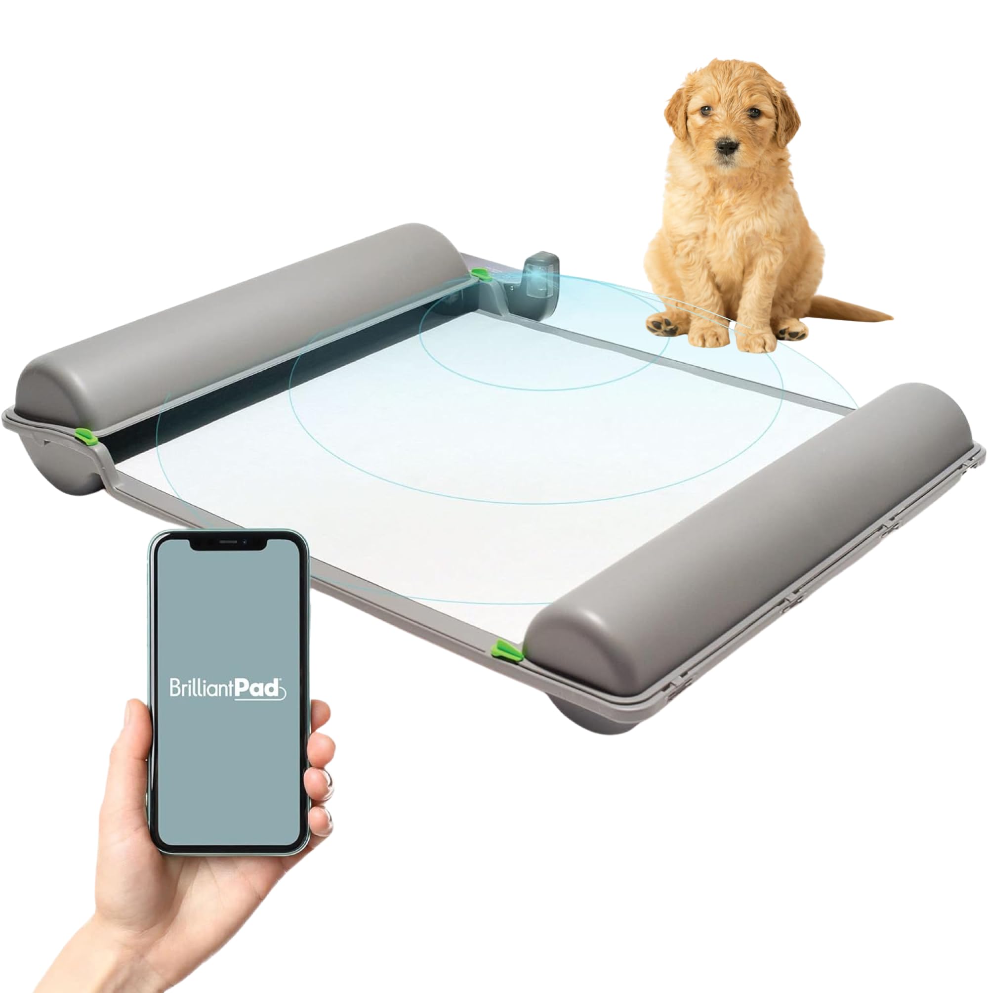 BrilliantPad Smart WiFi Enabled Indoor Dog Potty, Self-Cleaning Machine for Puppies & Small Dogs, Apple & Android Compatible App, Automatic Advancing Training Pad Roll Included