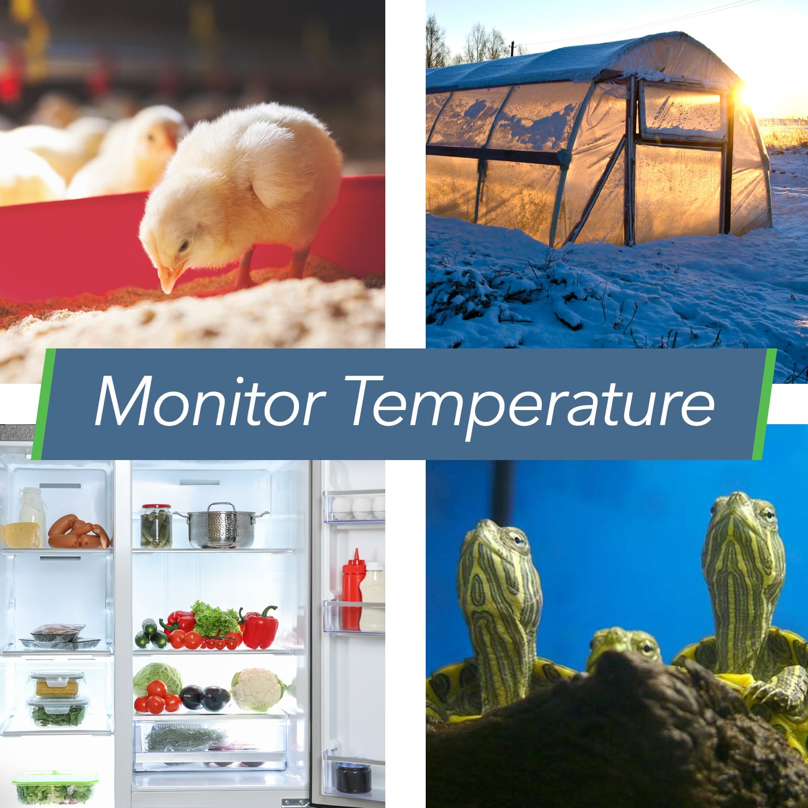 SensorPush HT1 Wireless Thermometer/Hygrometer for iPhone/Android. USA Developed and Supported Humidity/Temperature/Dewpoint/VPD Monitor/Logger. Indoor/Outdoor Smart Sensor with Alerts