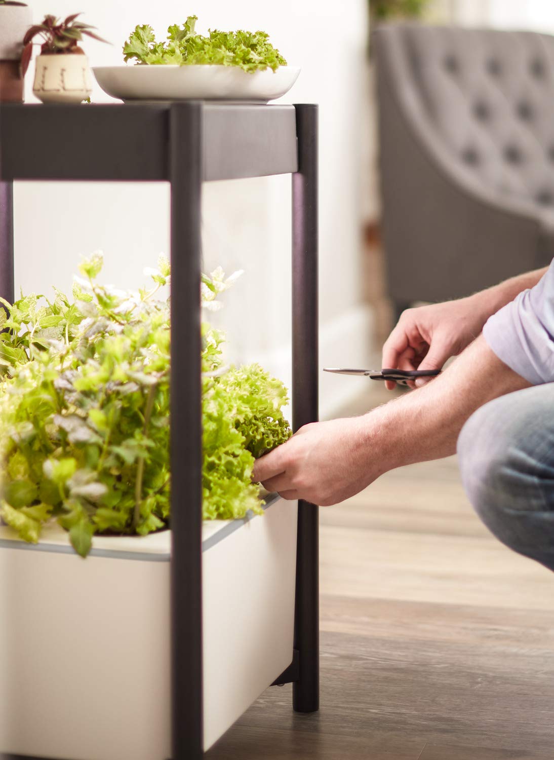 Miracle-Gro Twelve Indoor Growing System, Side Table with LED Grow Light for Year Round Gardening, Planter For Leafy Greens, Herbs & Flowers