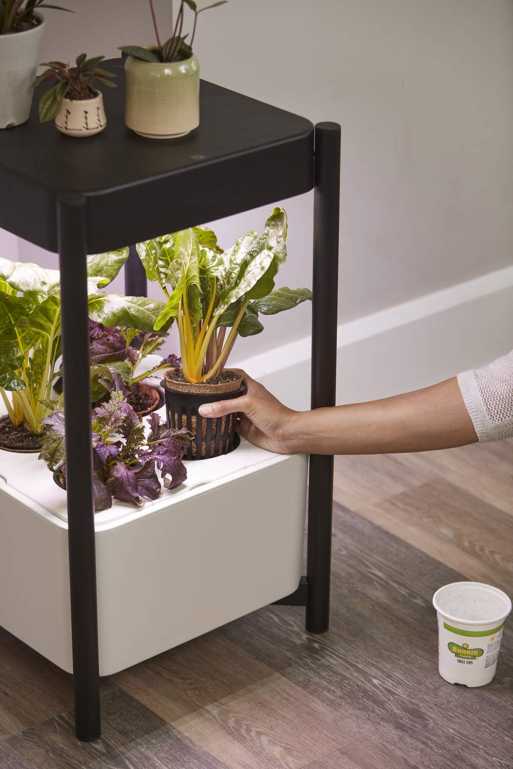 Miracle-Gro Twelve Indoor Growing System, Side Table with LED Grow Light for Year Round Gardening, Planter For Leafy Greens, Herbs & Flowers