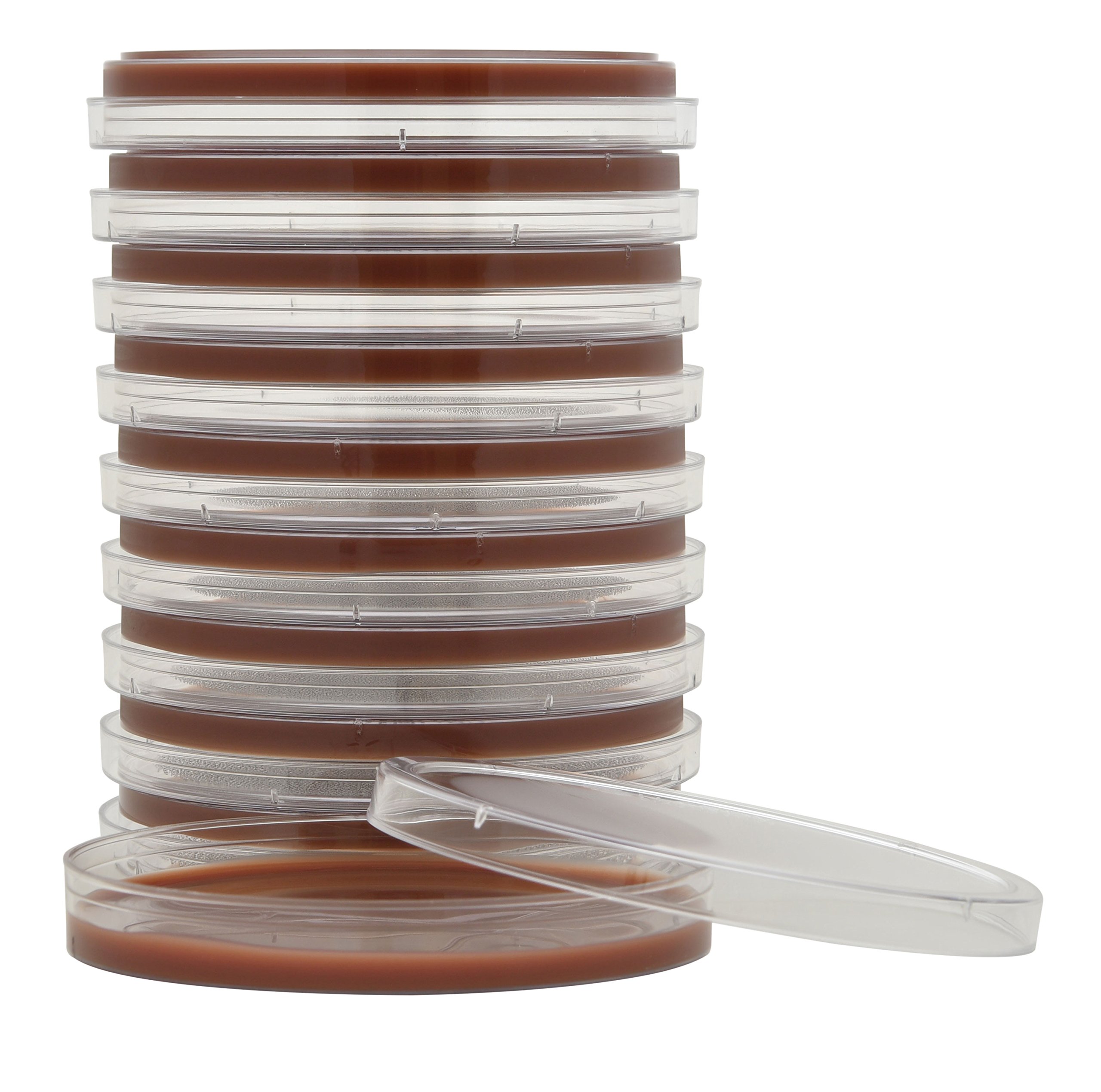 Chocolate Agar, (GC Agar Base with 1 Percent Bovine Hemoglobin and Koenzyme Supplements), for Fastidious Bacteria, 15x100mm Plate, Order by The Package of 10 Plates, by Hardy Diagnostics