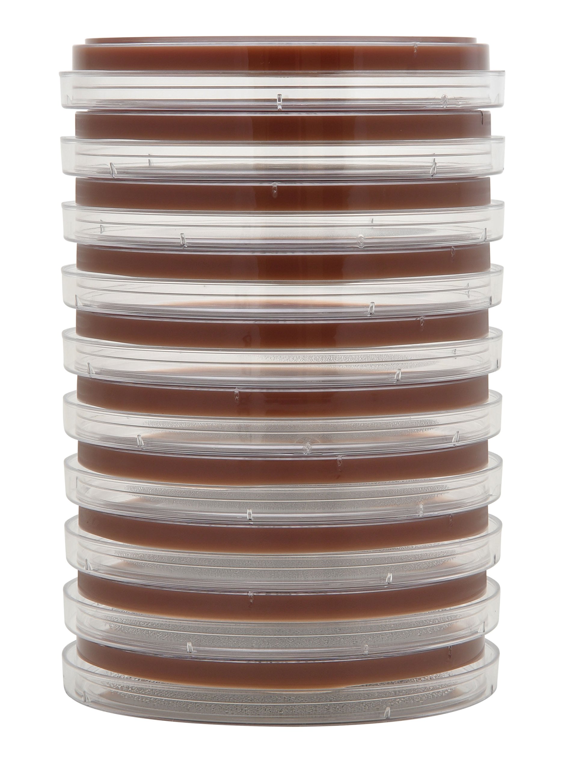 Chocolate Agar, (GC Agar Base with 1 Percent Bovine Hemoglobin and Koenzyme Supplements), for Fastidious Bacteria, 15x100mm Plate, Order by The Package of 10 Plates, by Hardy Diagnostics