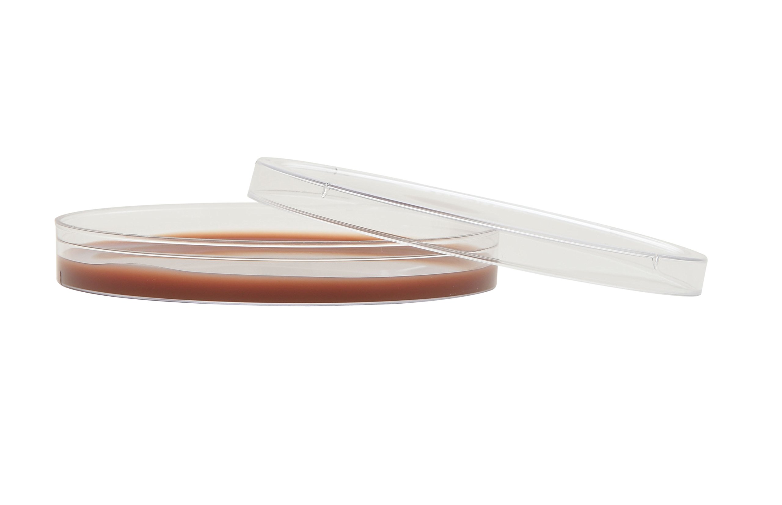 Chocolate Agar, (GC Agar Base with 1 Percent Bovine Hemoglobin and Koenzyme Supplements), for Fastidious Bacteria, 15x100mm Plate, Order by The Package of 10 Plates, by Hardy Diagnostics