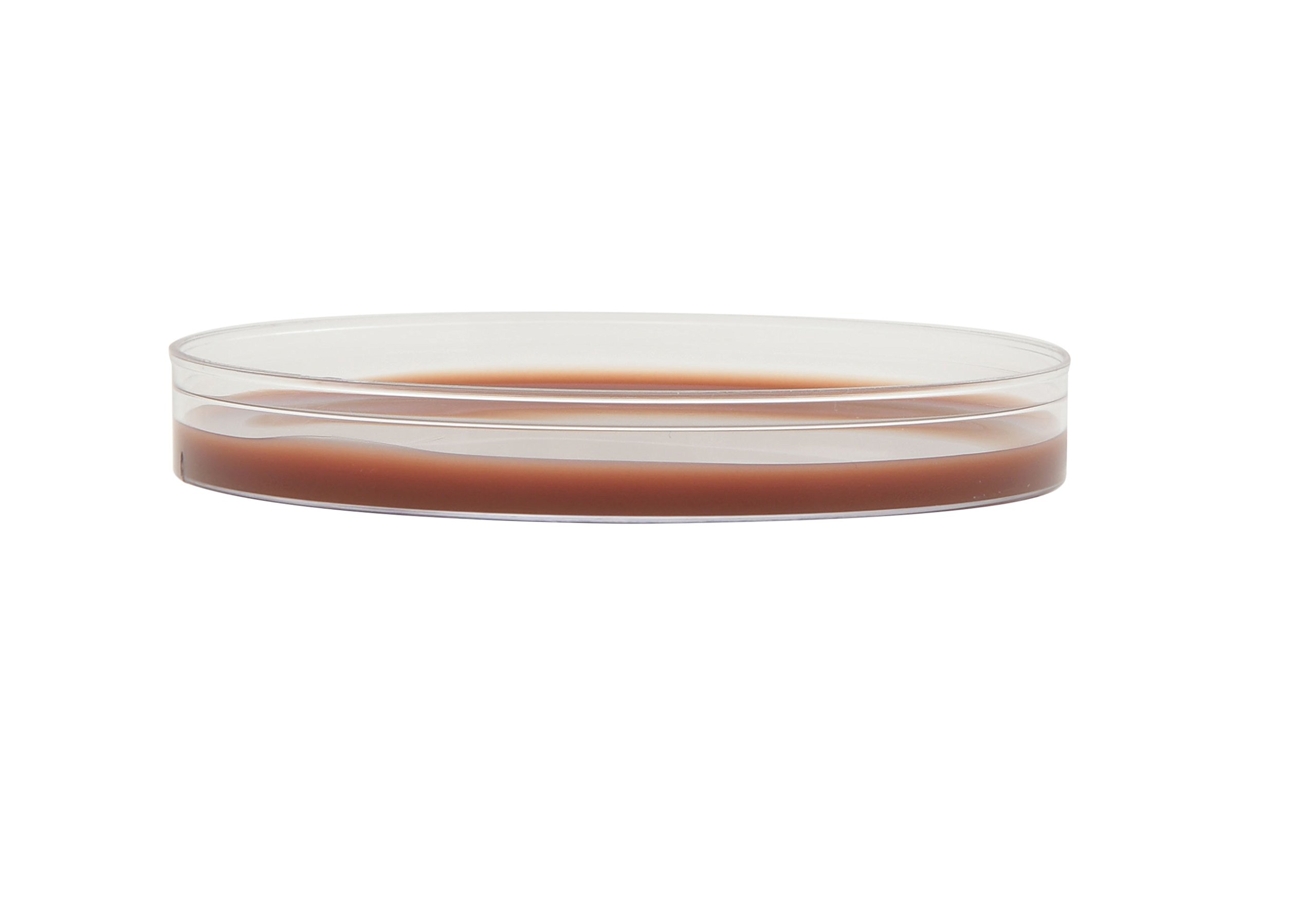 Chocolate Agar, (GC Agar Base with 1 Percent Bovine Hemoglobin and Koenzyme Supplements), for Fastidious Bacteria, 15x100mm Plate, Order by The Package of 10 Plates, by Hardy Diagnostics