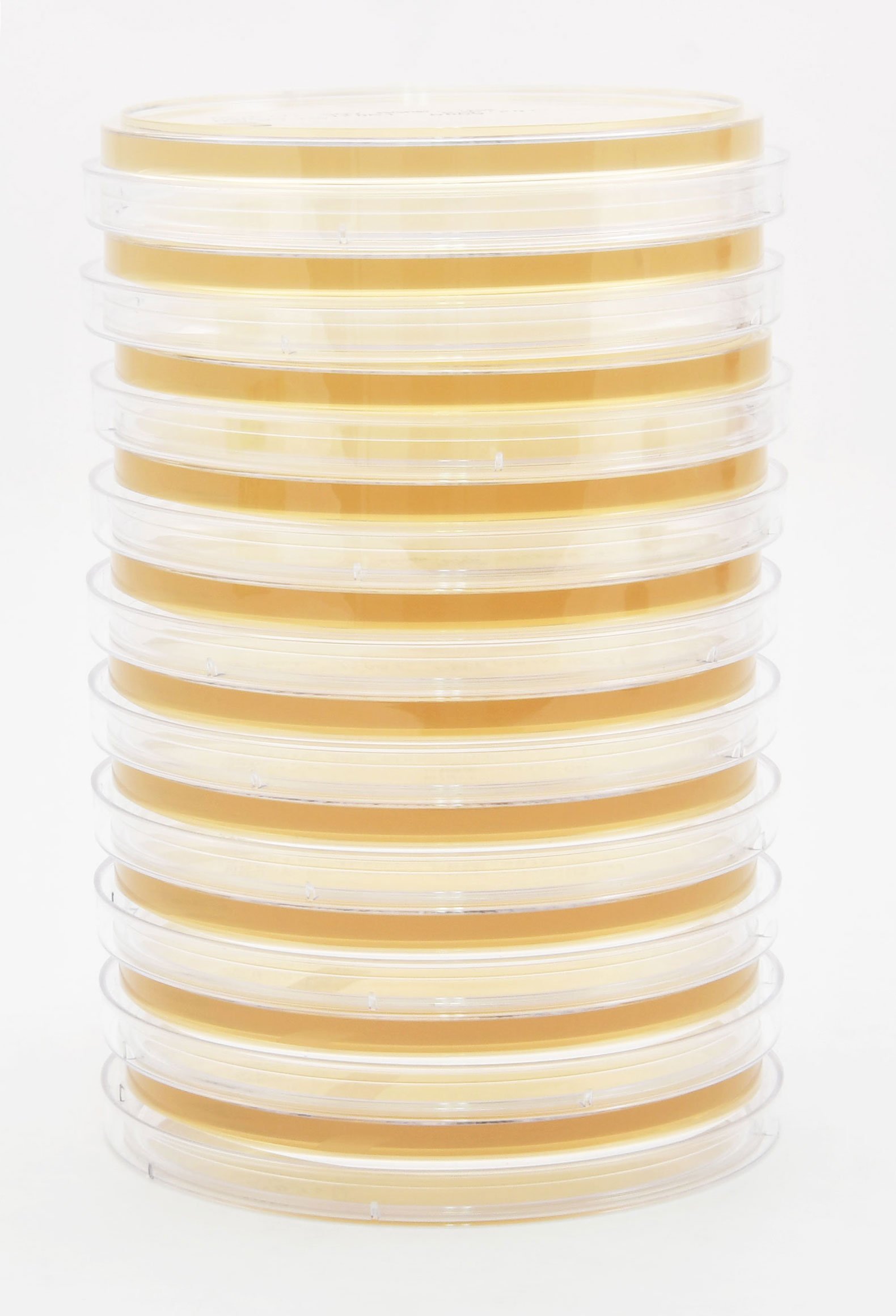 Tryptic Soy Agar (TSA), USP, a General Growth Medium for Microorganisms, 10 Plates Per Pack, by Hardy Diagnostics