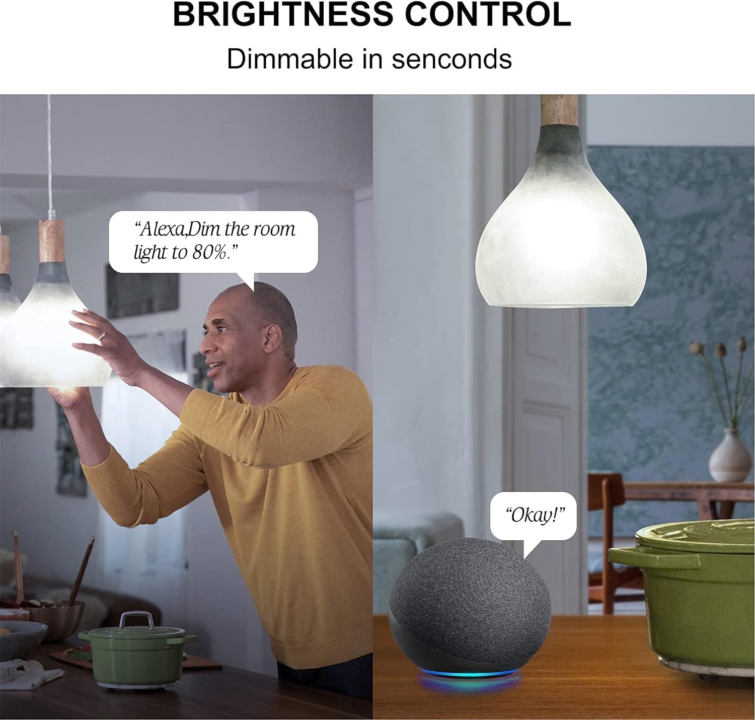 Sengled Alexa Light Bulb, WiFi Bulbs, Smart Bulbs, Smart Bulbs That Work with Alexa and Google Assistant, A19 Daylight (5000K) No Hub Required, 800LM 60W High CRI>90 Equivalent, 4 Pack