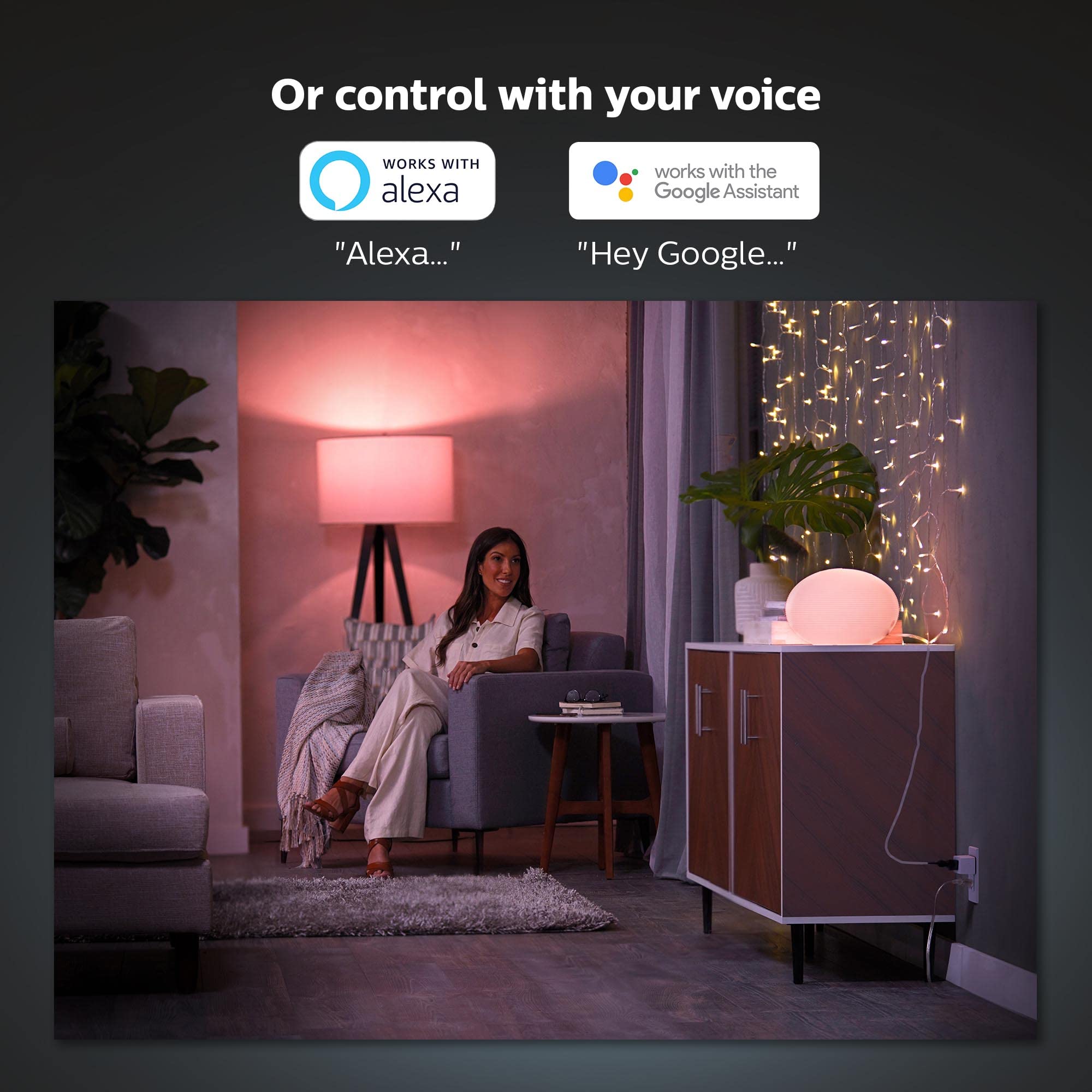 Philips Hue 552349-2 Smart Plug, 2 Count (Pack of 1), White