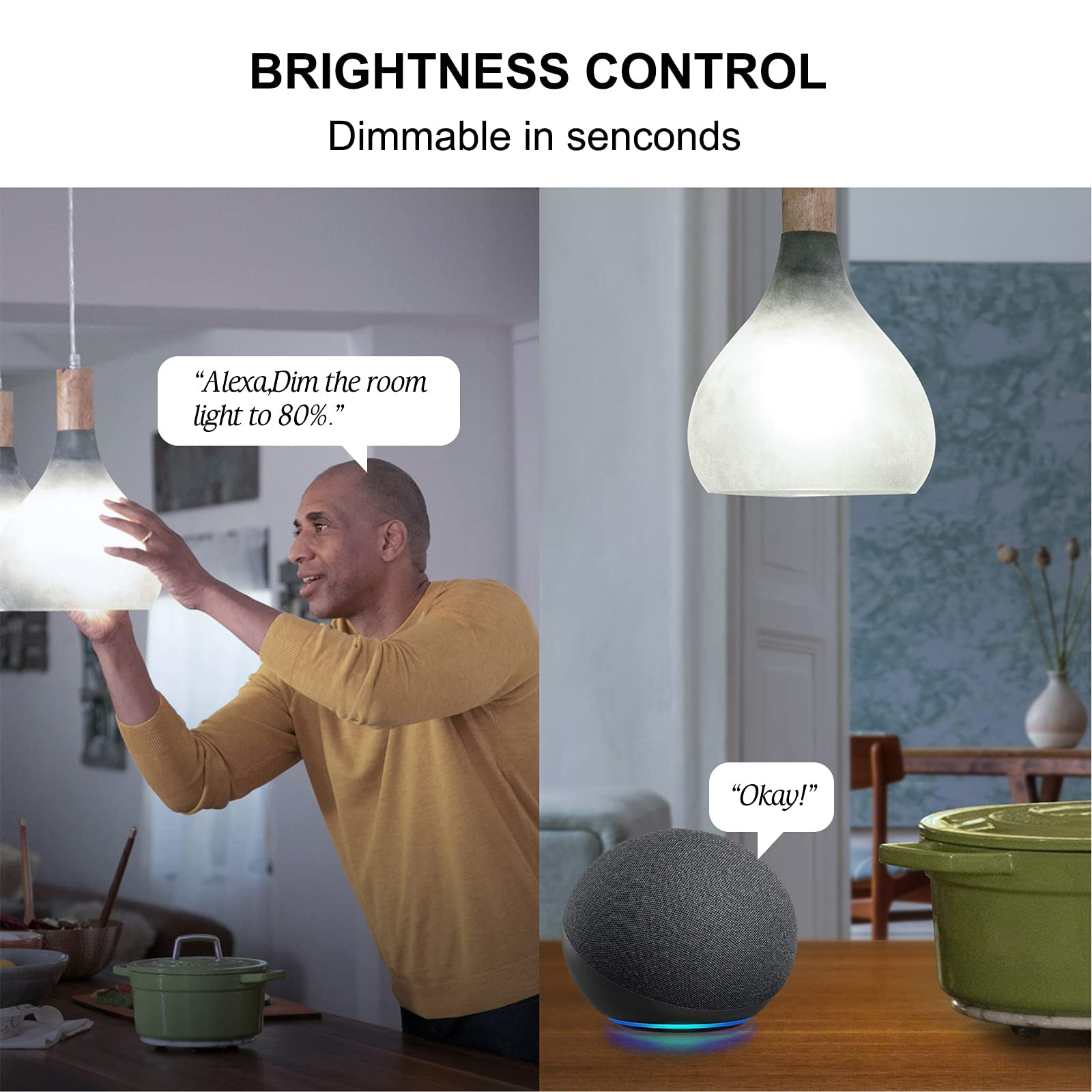 Sengled Smart Light Bulbs, WiFi Light Bulbs No Hub Required, Smart Bulbs That Work with Alexa, Google Home, Smart LED Light A19 Daylight (5000K), 800LM 60W Equivalent, 2 Pack
