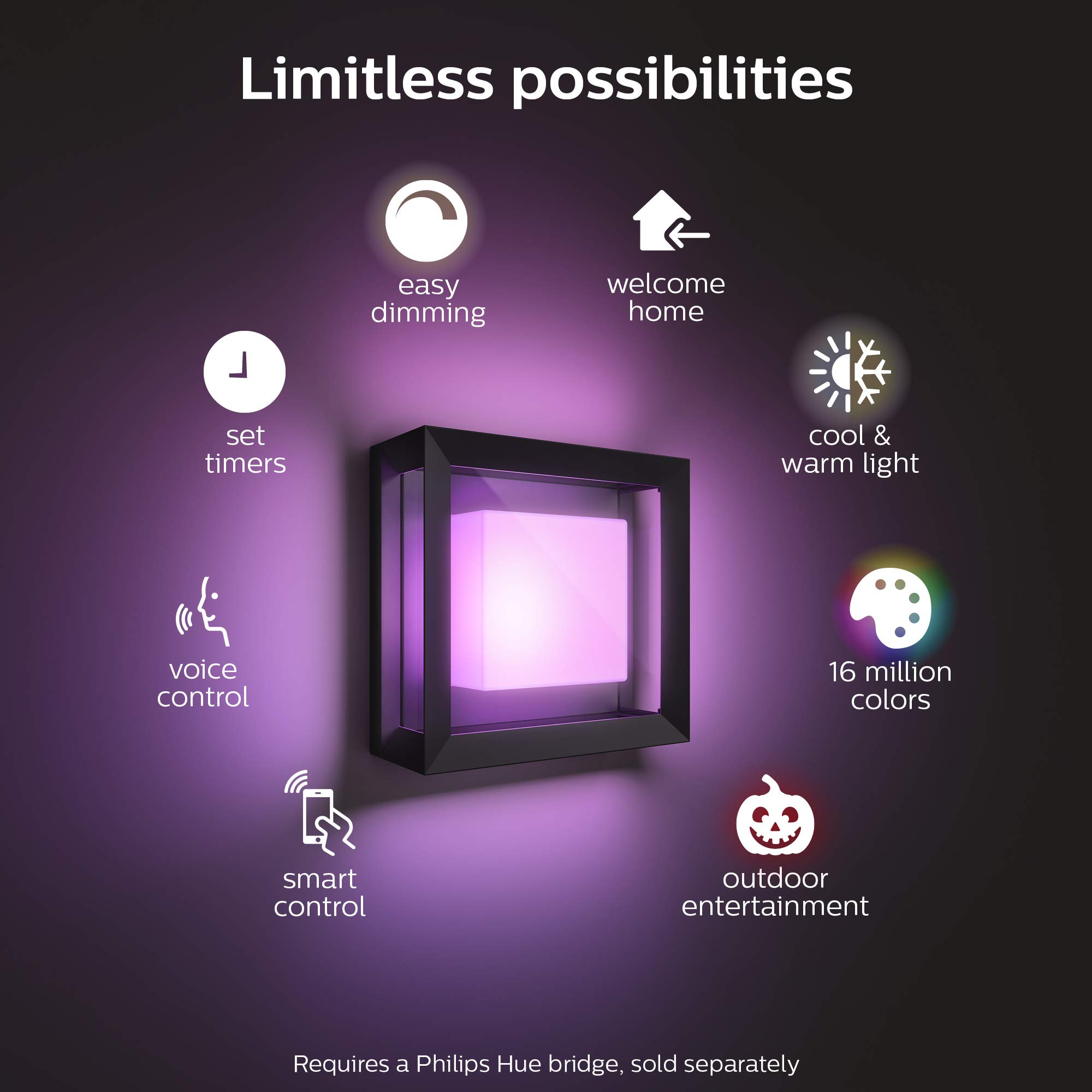 Philips Hue Econic Outdoor White & Color Wall & Ceiling Light Fixture (Hue Hub Required, Compatible with Alexa, Apple Homekit & Google Assistant)