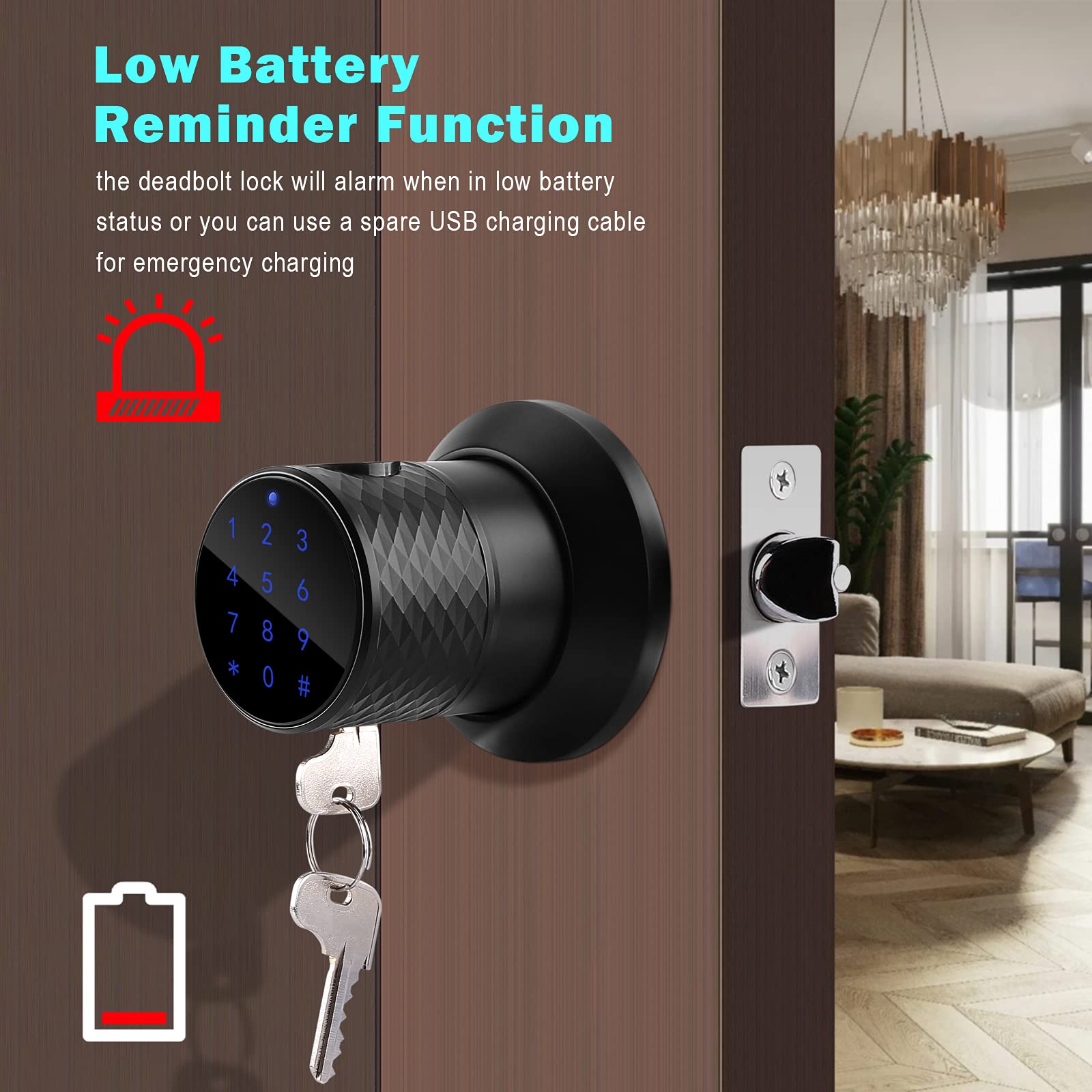 Fingerprint Door Knob, FITNATE Bluetooth Digital Code Door Lock Knob Gate Lock with Keypad, App Work with Alexa, Echo, Security Guard for Home, Hotel, Office, Easy to Install