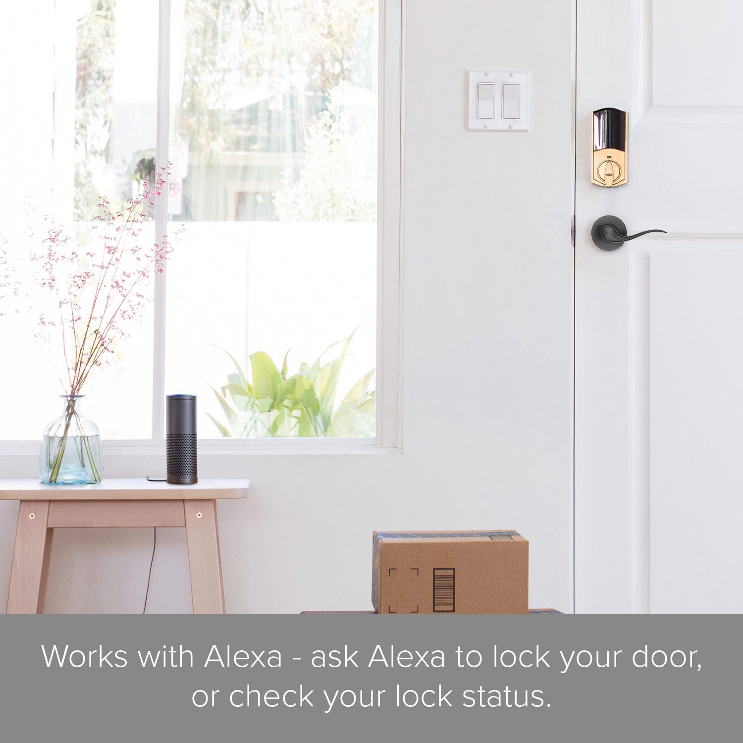 Kwikset Convert Smart Lock Conversion Kit (Amazon Key Edition – Amazon Cloud Cam Required), Compatible with Alexa in Satin Nickel