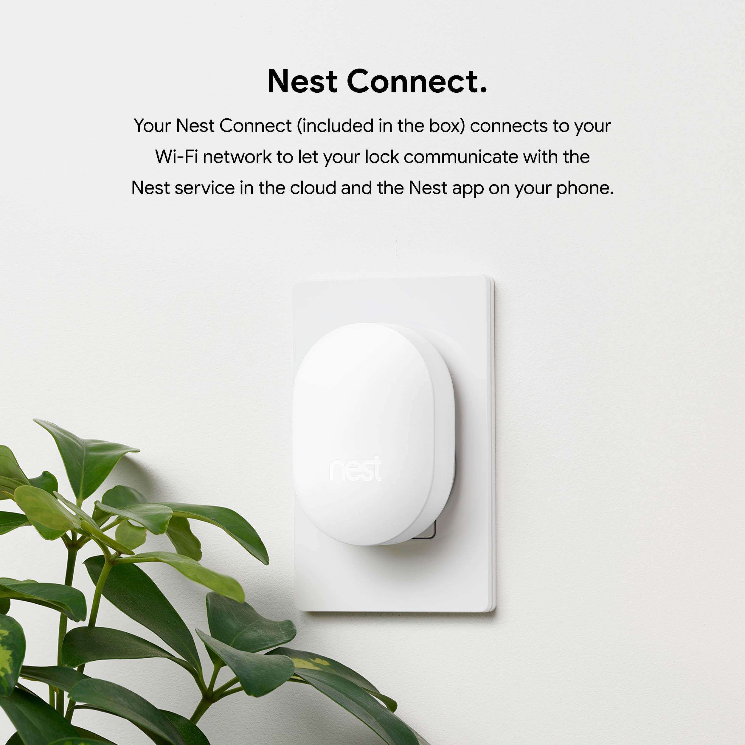 Google Nest x Yale Lock - Tamper Proof Smart Lock for Keyless Entry - Keypad Deadbolt Lock for Front Door - Works with Nest Secure Alarm System - Black Suede