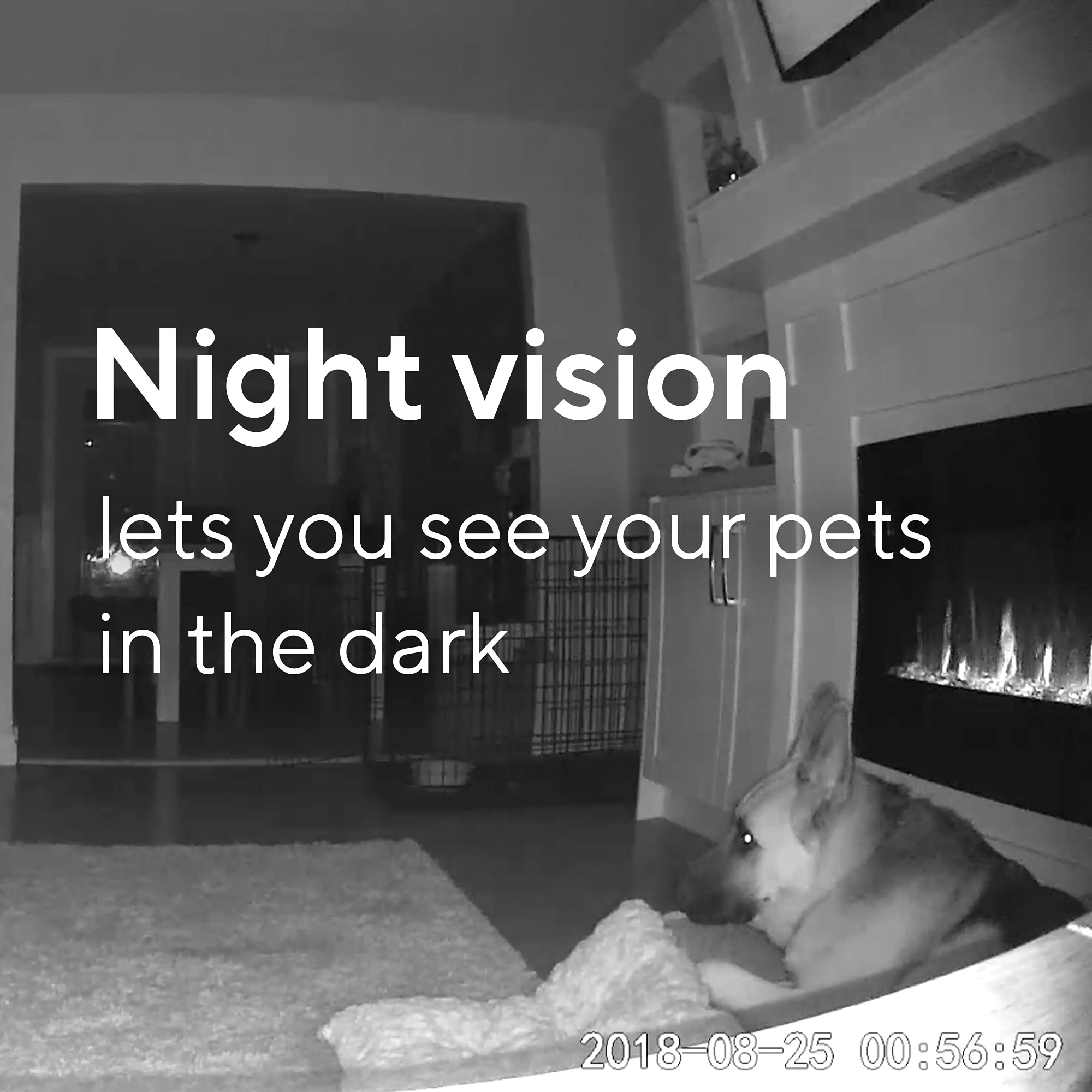 WYZE Cam Pan 1080p Pan/Tilt/Zoom Indoor 360° Pet Monitoring Camera 32GB MicroSD Card Class 10