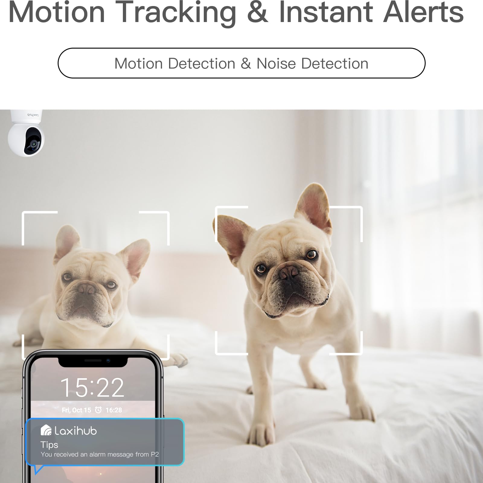 LAXIHUB 360° Pet Camera with Phone App, Indoor Security Camera for Baby/Dog, P2 Pan/Tilt Pet Monitor with Super IR Night Vision, Motion Detection & 2-Way Audio, Works with Alexa & Google Assistant