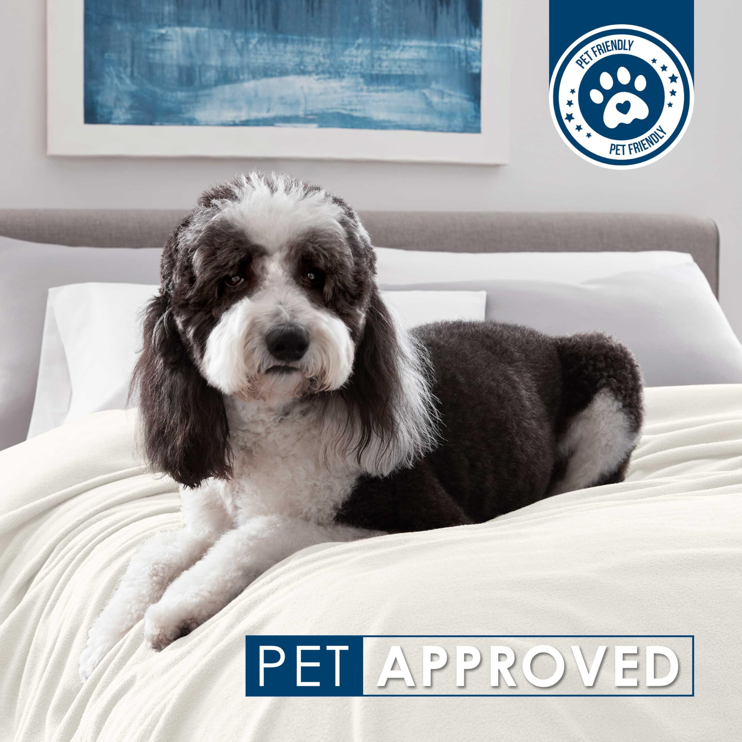 Martex 1B06847 Super Soft Fleece Plush Lightweight Blanket Low Lint Luxury Hotel Style Solid Pet Friendly Bed and Couch Blankets, Twin, Ivory