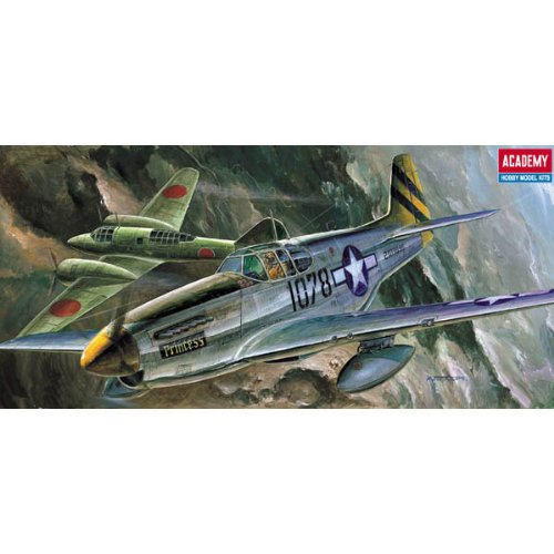 Academy The Fighter of World War II P-51C Model Kit, Gray
