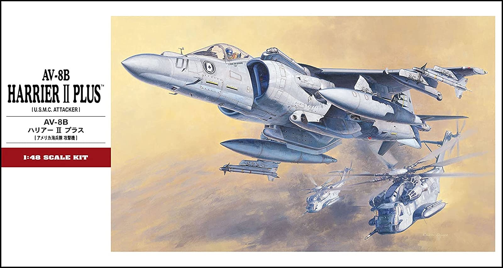 Hasegawa 1/48 AV-8B Harrier II