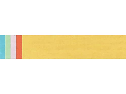 Rainbow Kraft Lightweight Sentence Strips, 5 Assorted Colors, 1-1/2 in x 3/4 in ruled 3" x 24", 100 Strips