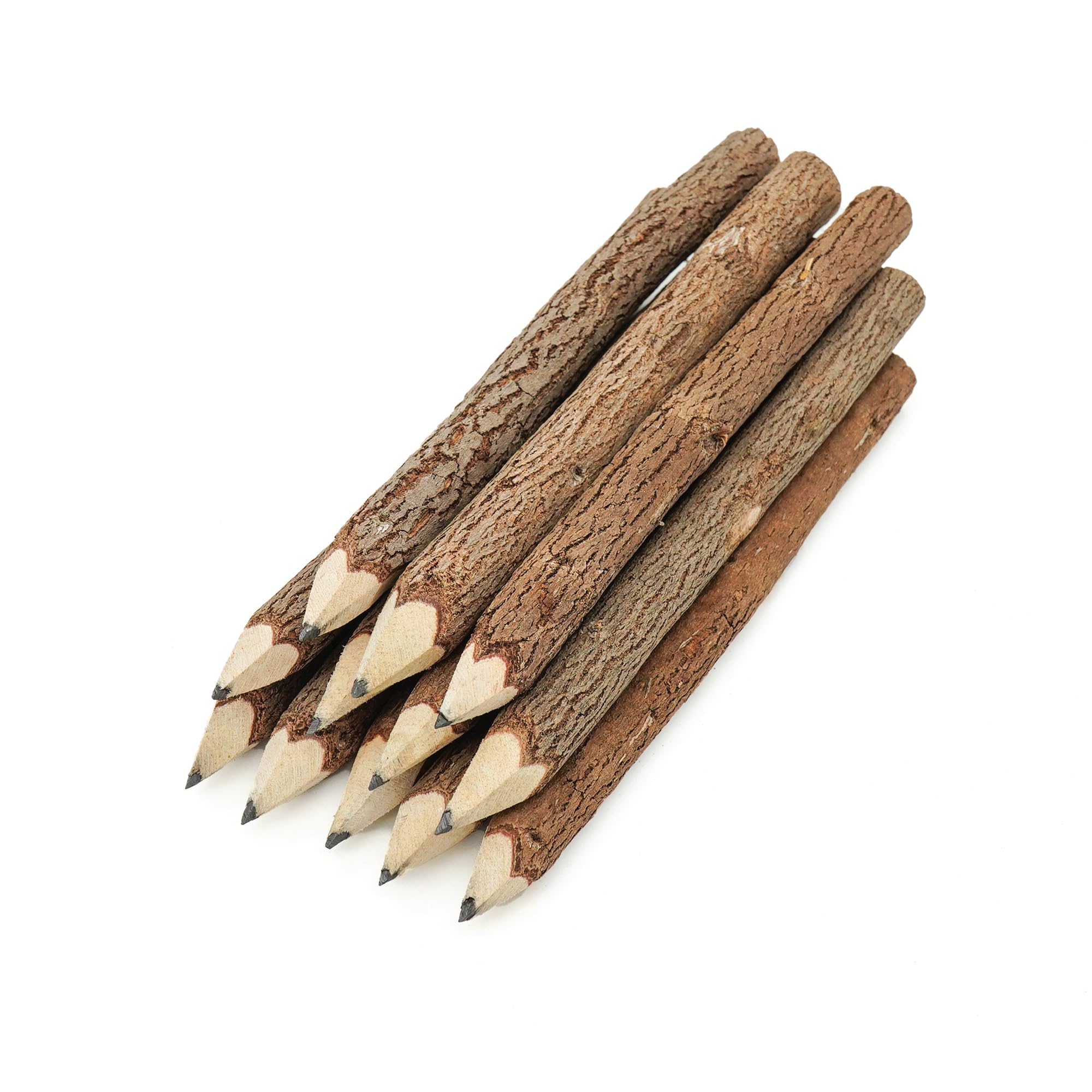 BSIRI Pencil Wood Favors of Graphite Wooden Tree Rustic Twig Pencils Unique Birch of 12 Camping Lumberjack Decorations Party Supplies Novelty Gifts as a Natural Pencil Gifts for Kids in Classroom