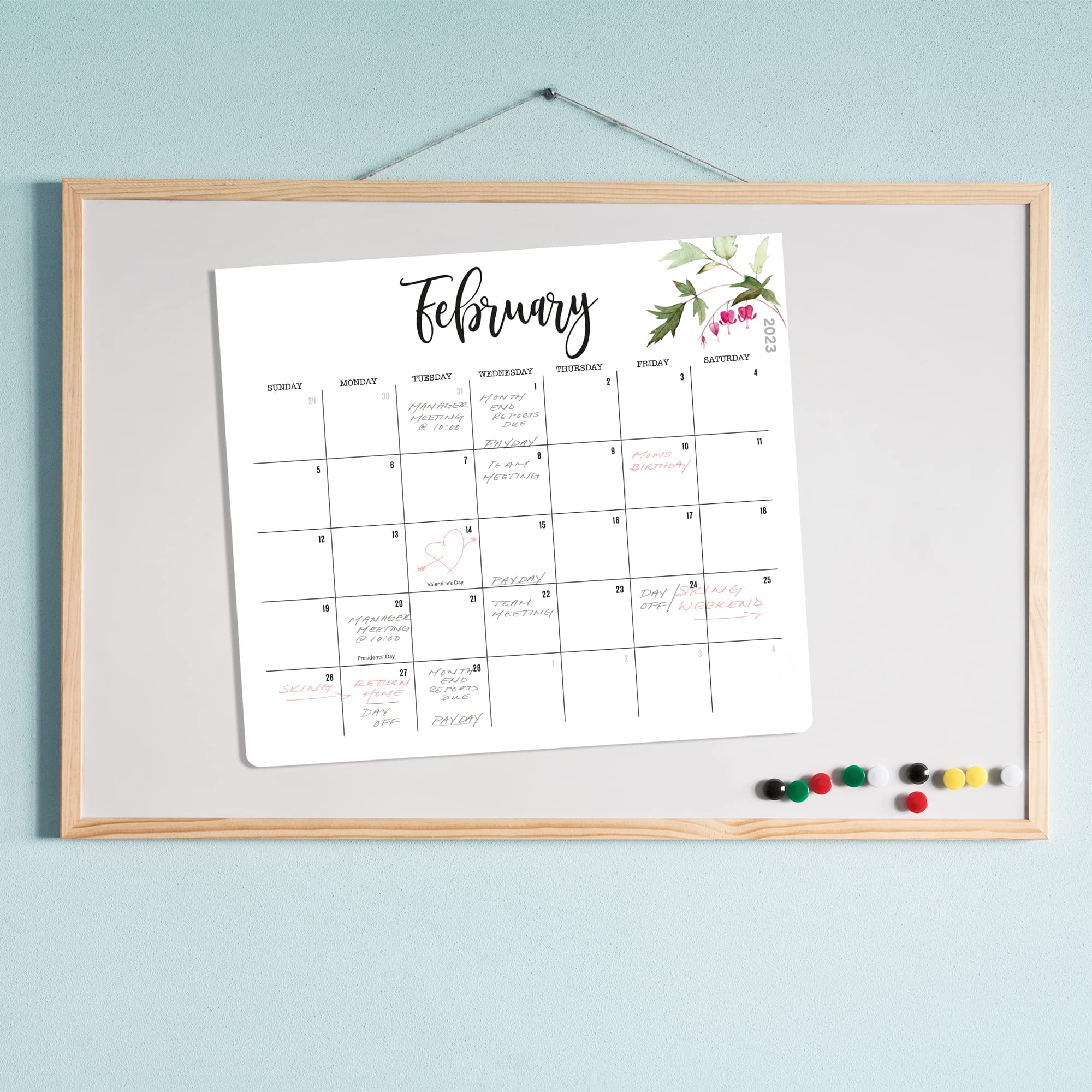 Beautiful 2023 Magnetic Calendar for Fridge - Runs Until July 2024 - The Perfect Monthly Calendar With Greenery Designs for Easy Planning