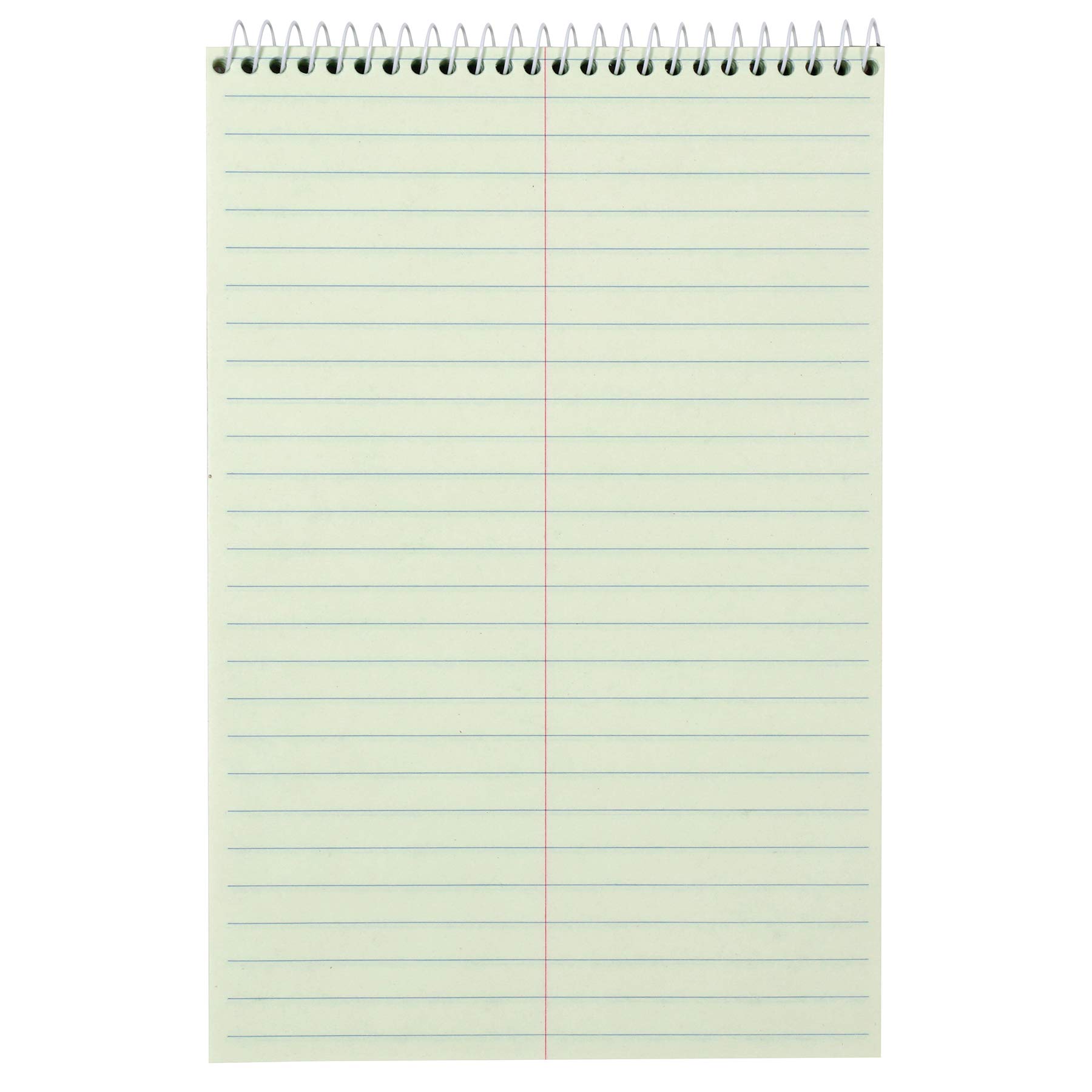 Amazon Basics Steno Books, 6" x 9", Gregg Rule, Green Paper, 80 Sheets, 12-Pack