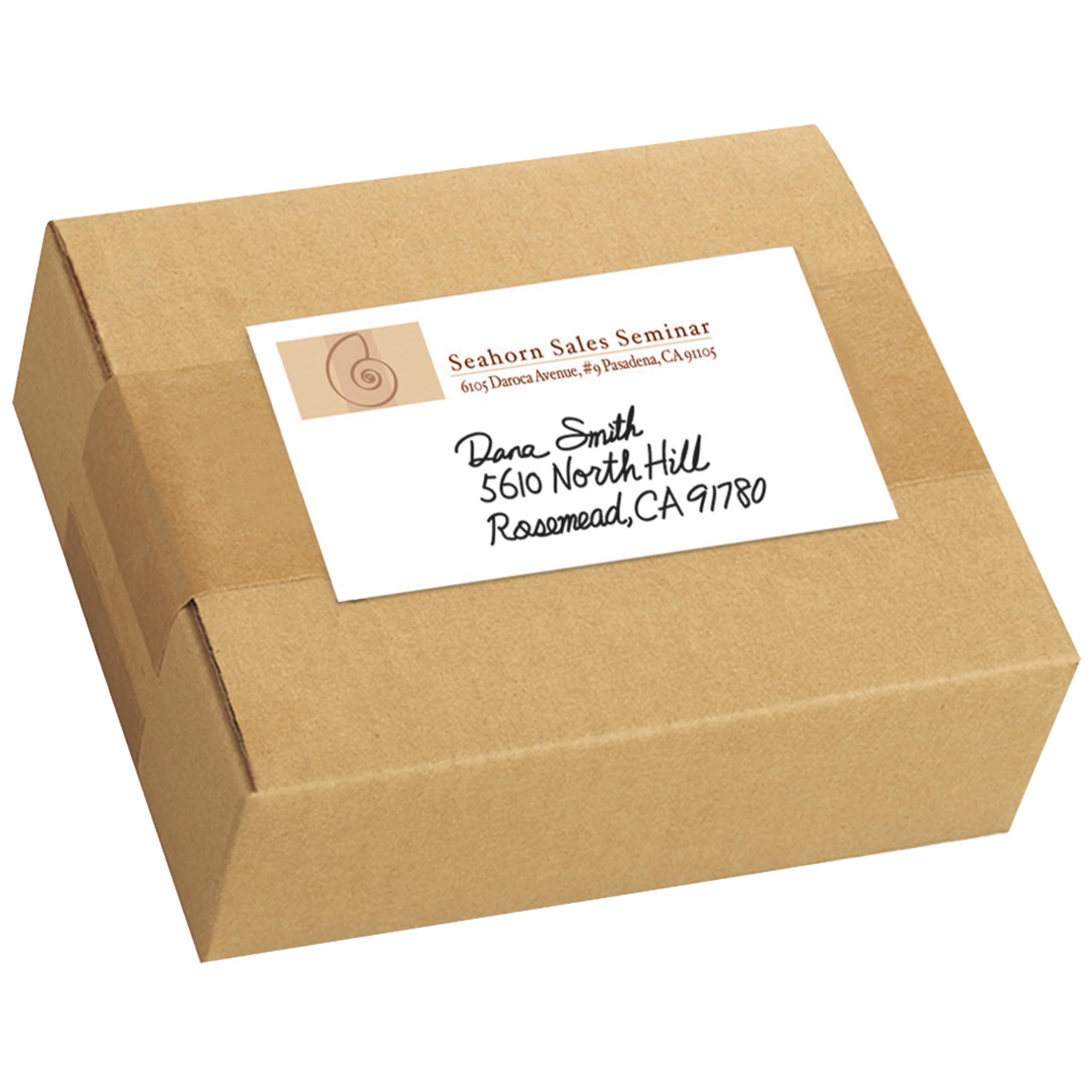 Avery Removable Print or Write 2" x 4" Labels -- Great for Home Organization Projects, Pack of 100 White Labels (5444)