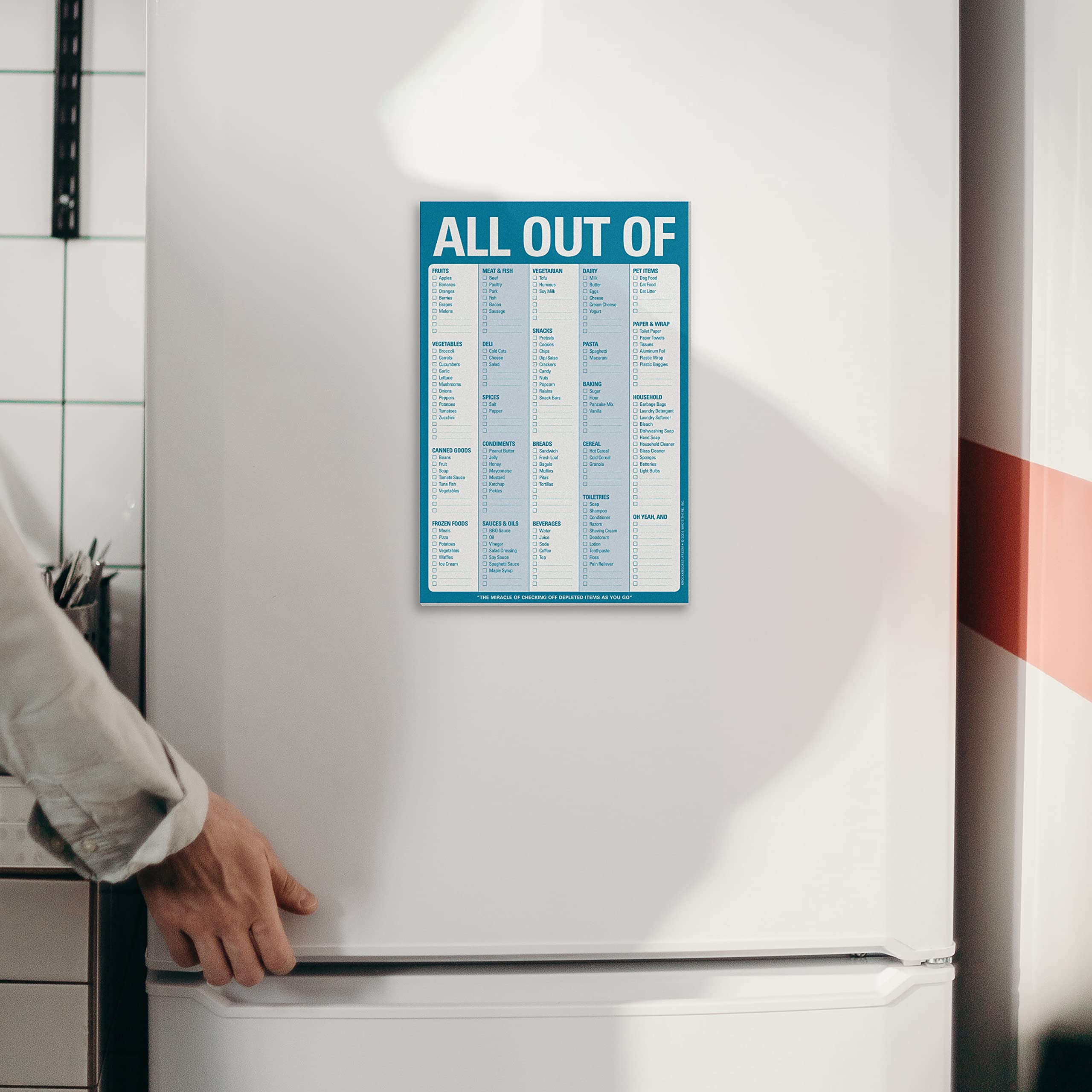 Knock Knock All Out Of Grocery List Note Pad, 6 x 9-inches (Blue)