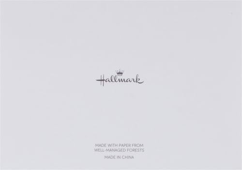 Hallmark Thank You Cards (Silver Foil Script, 40 Thank You Notes and Envelopes)