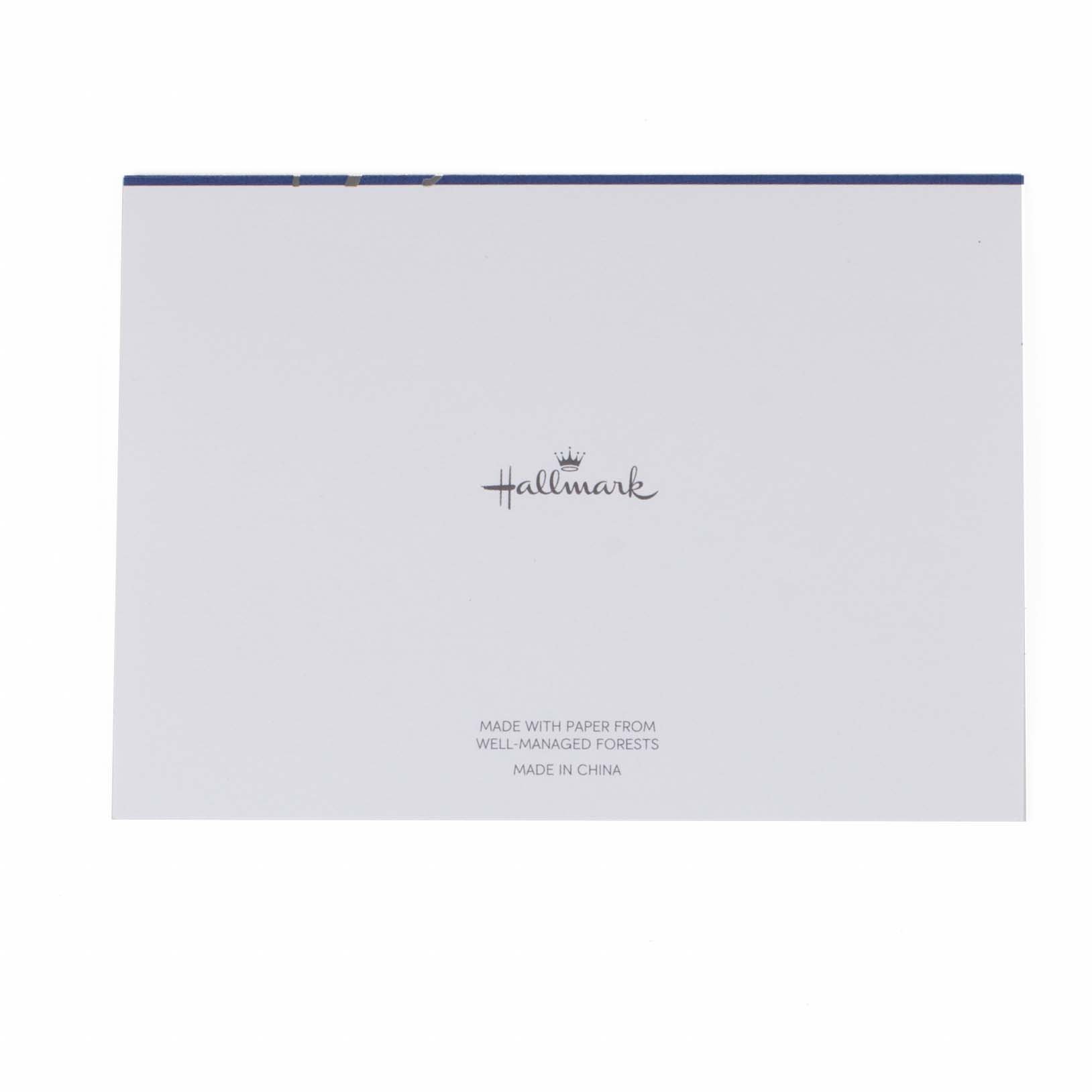 Hallmark Thank You Cards (Silver Foil Script, 40 Thank You Notes and Envelopes)