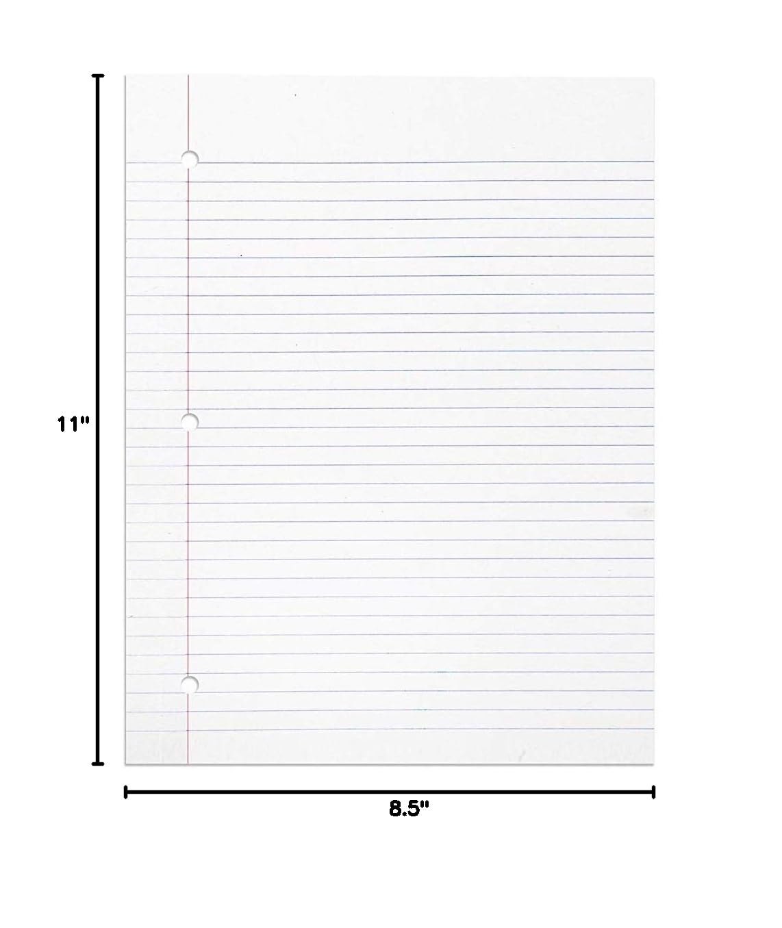 Amazon Basics College Ruled Loose Leaf Filler Paper, 100 Sheet, 11 x 8.5 Inch, 6-Pack