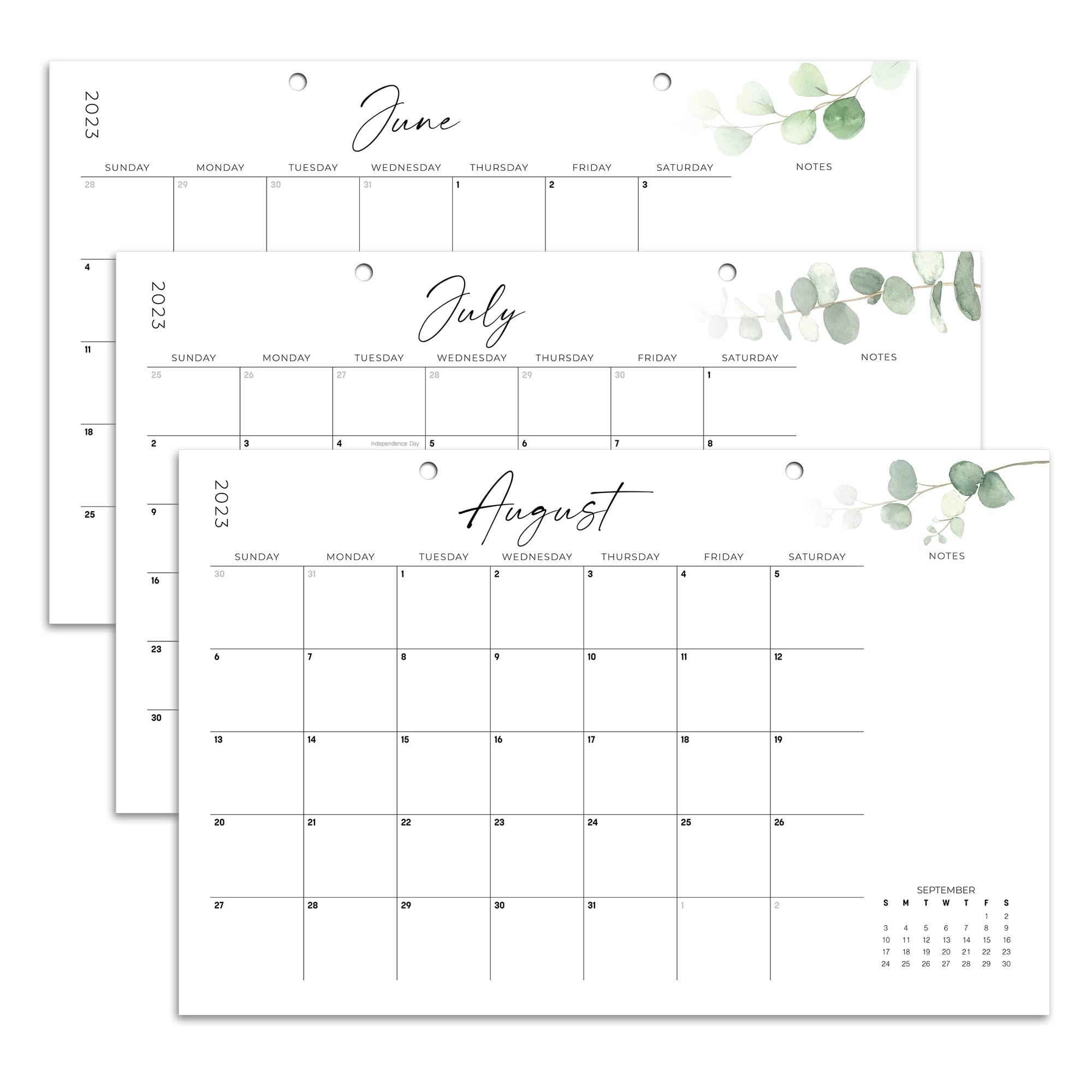 Aesthetic 2023 Modern Greenery Desk Calendar - Runs Until July 2024 - 17"x11" Desktop/Wall Calendar for Easy Organizing