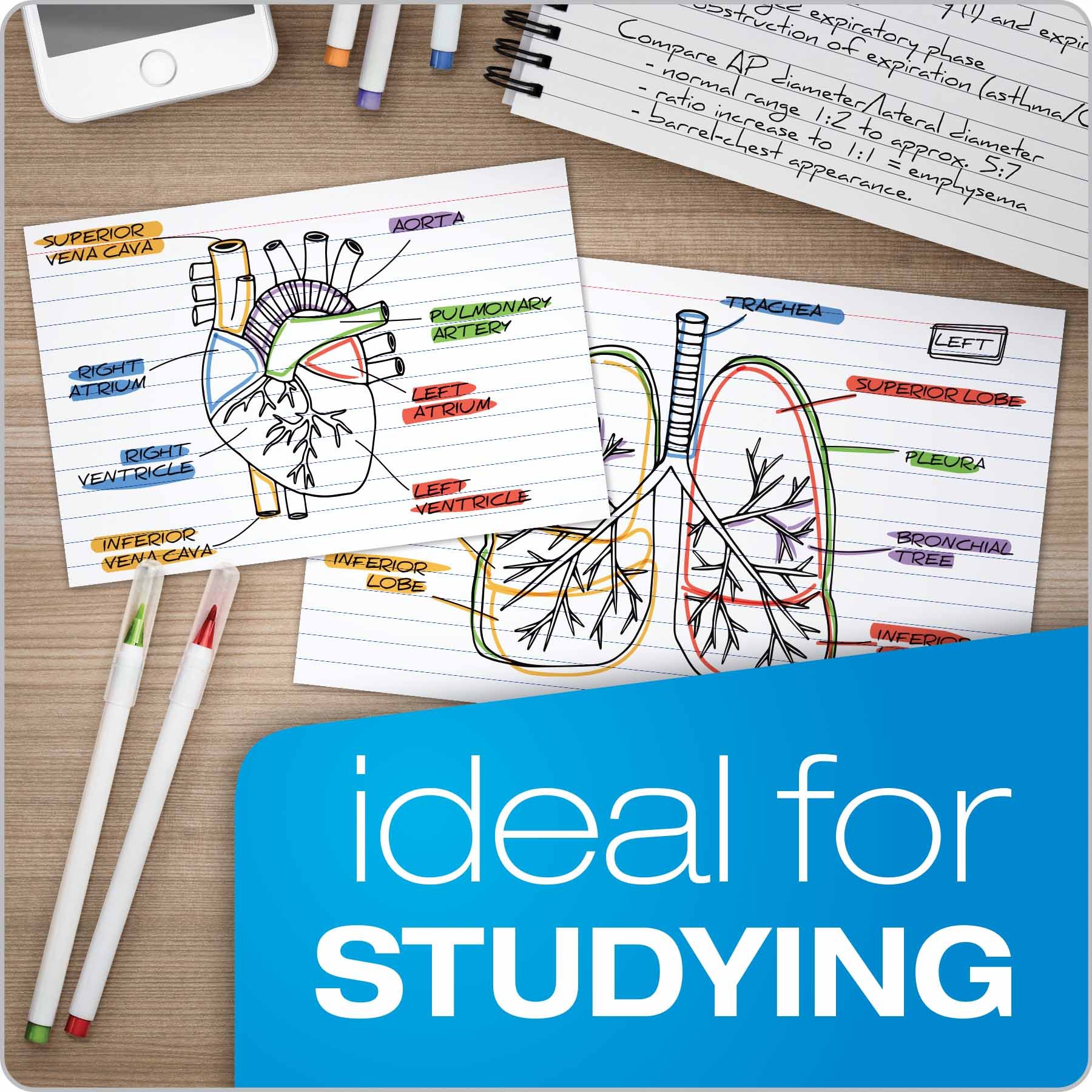 Oxford 31EE Ruled Index Cards, 3" x 5", White, 1,000 Cards (10 Packs of 100) (31)