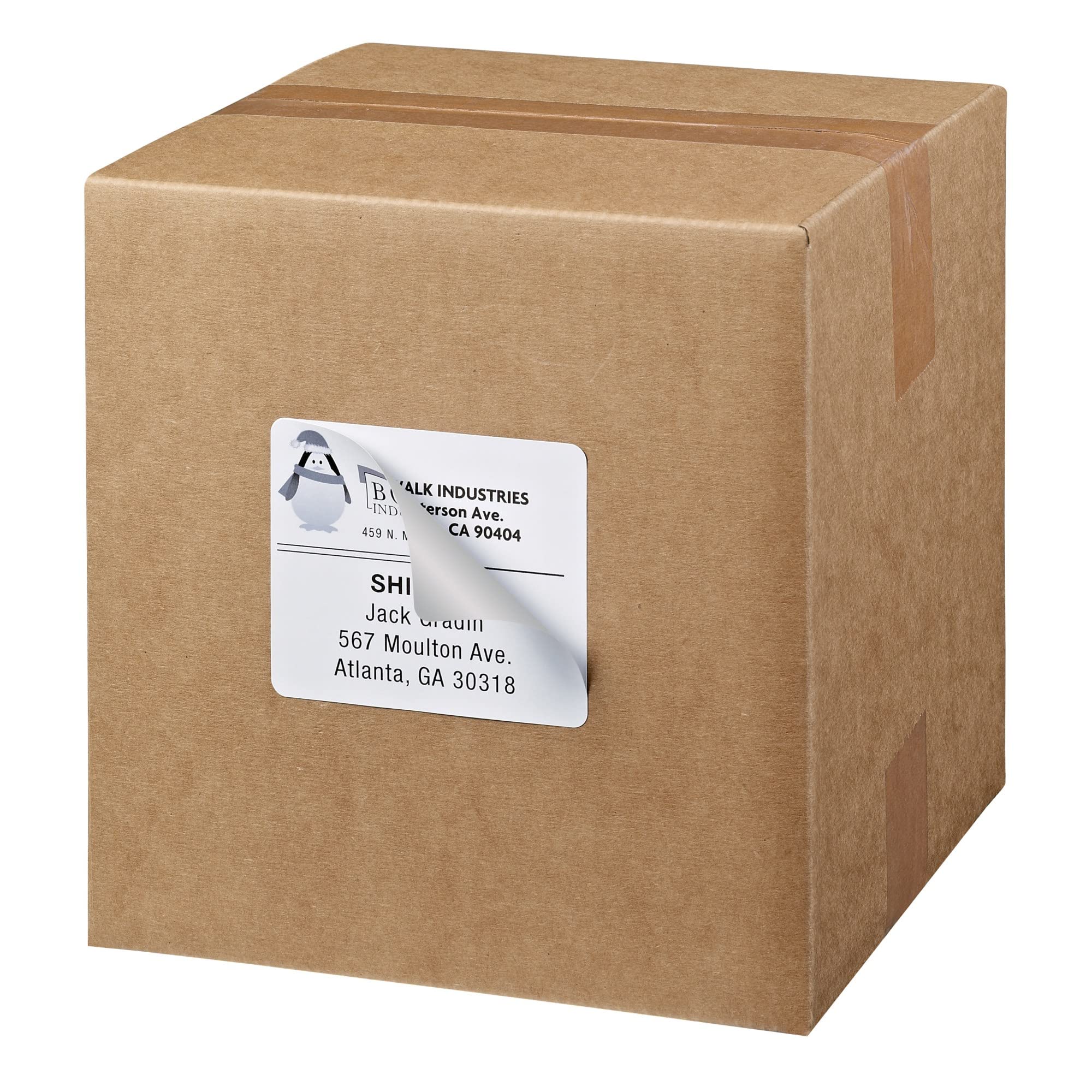 Avery Shipping Address Labels, Laser Printers, 150 Labels, 3-1/3x4 Labels, Permanent Adhesive, TrueBlock (5264), White