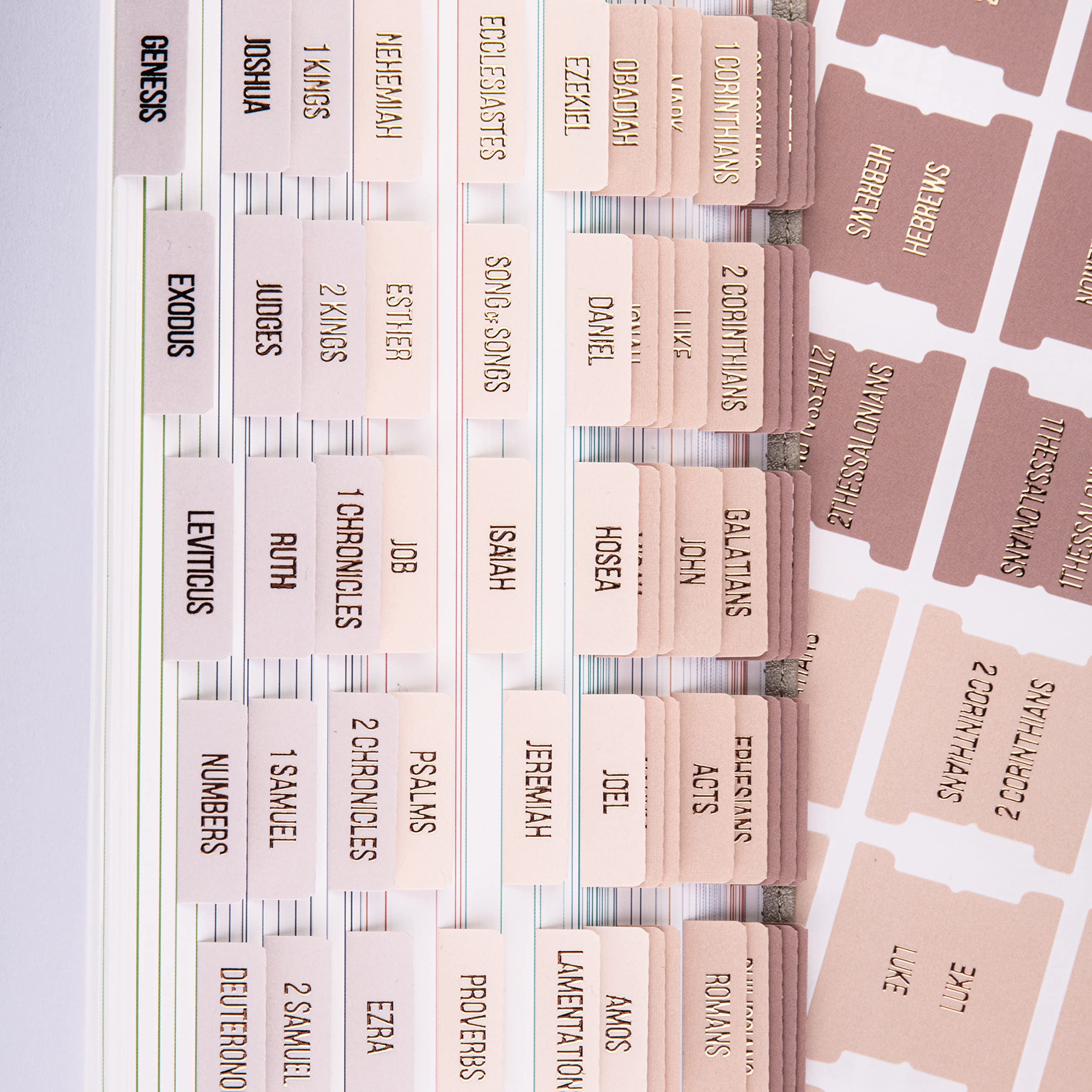 DiverseBee Laminated Bible Tabs (Rose Gold Embossed Lettering), Bible Journaling Supplies, Bible Book Tabs, Christian Gift, 66 Bible Tabs Old and New Testament, Includes 11 Blank Tabs (Pearl)