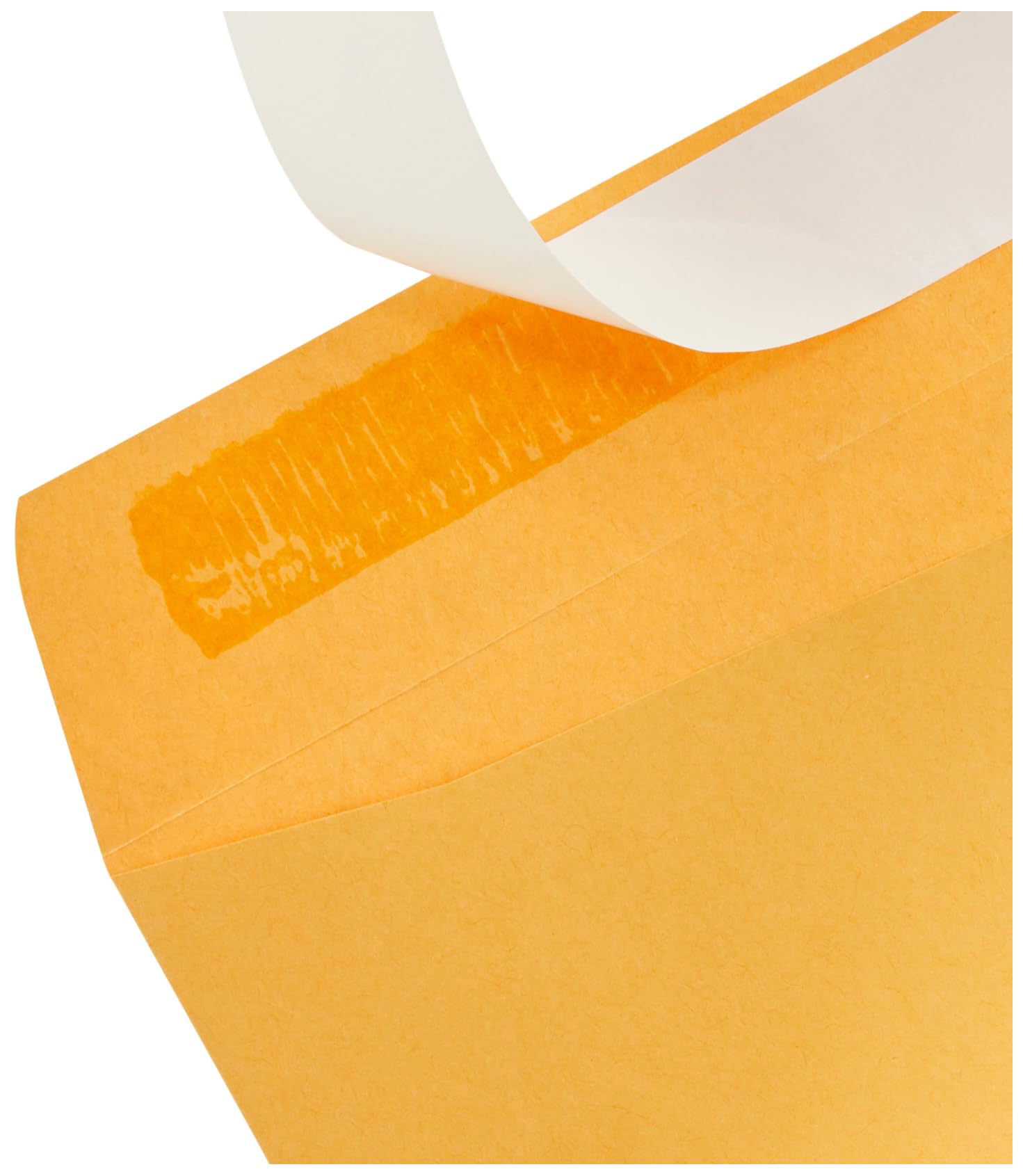 Amazon Basics Catalog Mailing Envelopes, Peel & Seal, 6x9 Inch, Brown Kraft, 100-Pack
