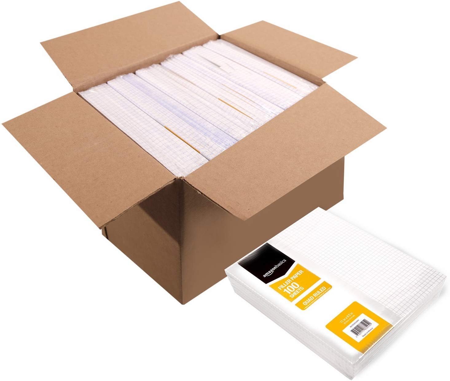 Amazon Basics Graph Ruled Loose Leaf Filler Paper, 100 Sheet, 11 x 8.5 Inch, Pack of 6