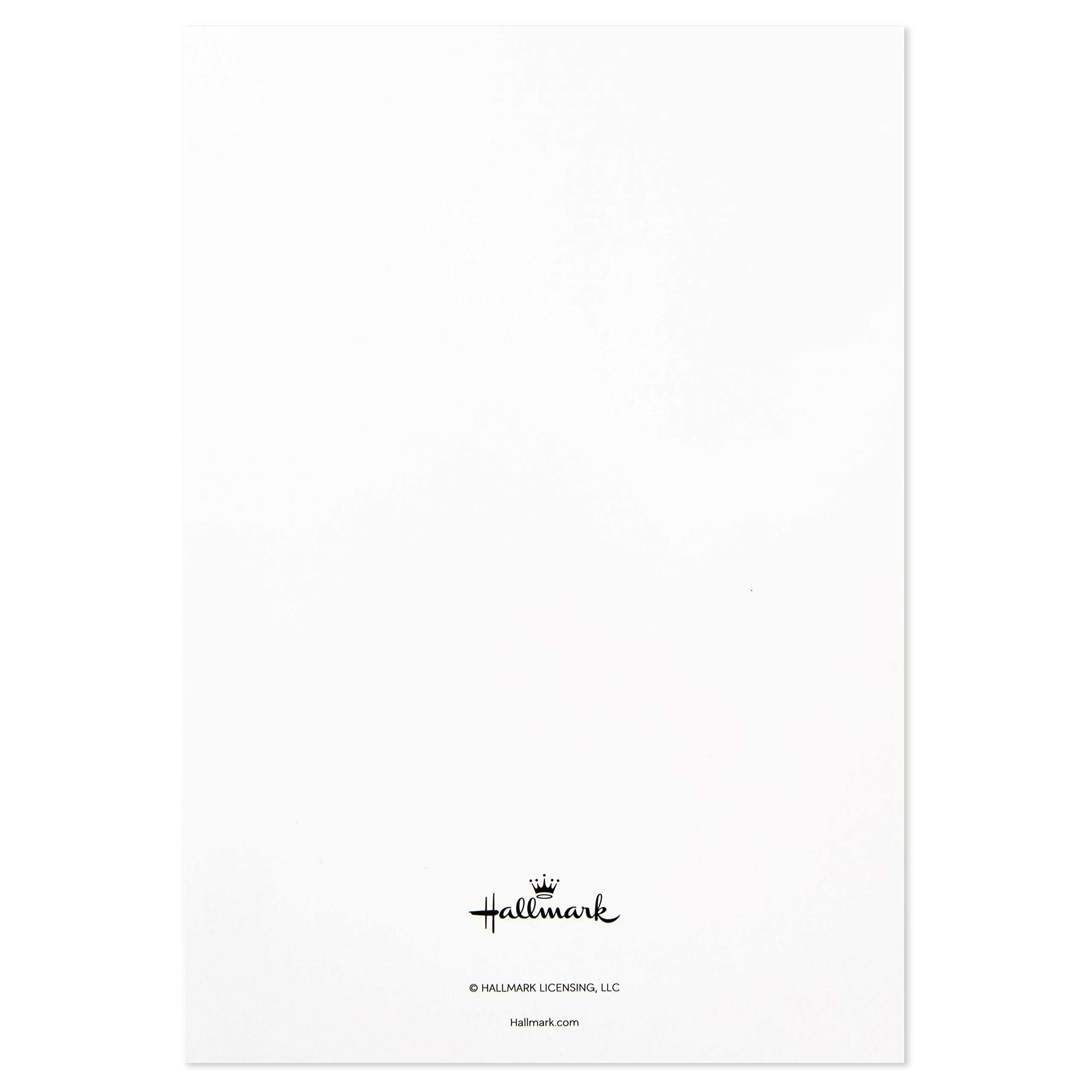 Hallmark Assorted Sympathy Cards (Flowers, 12 Cards and Envelopes)