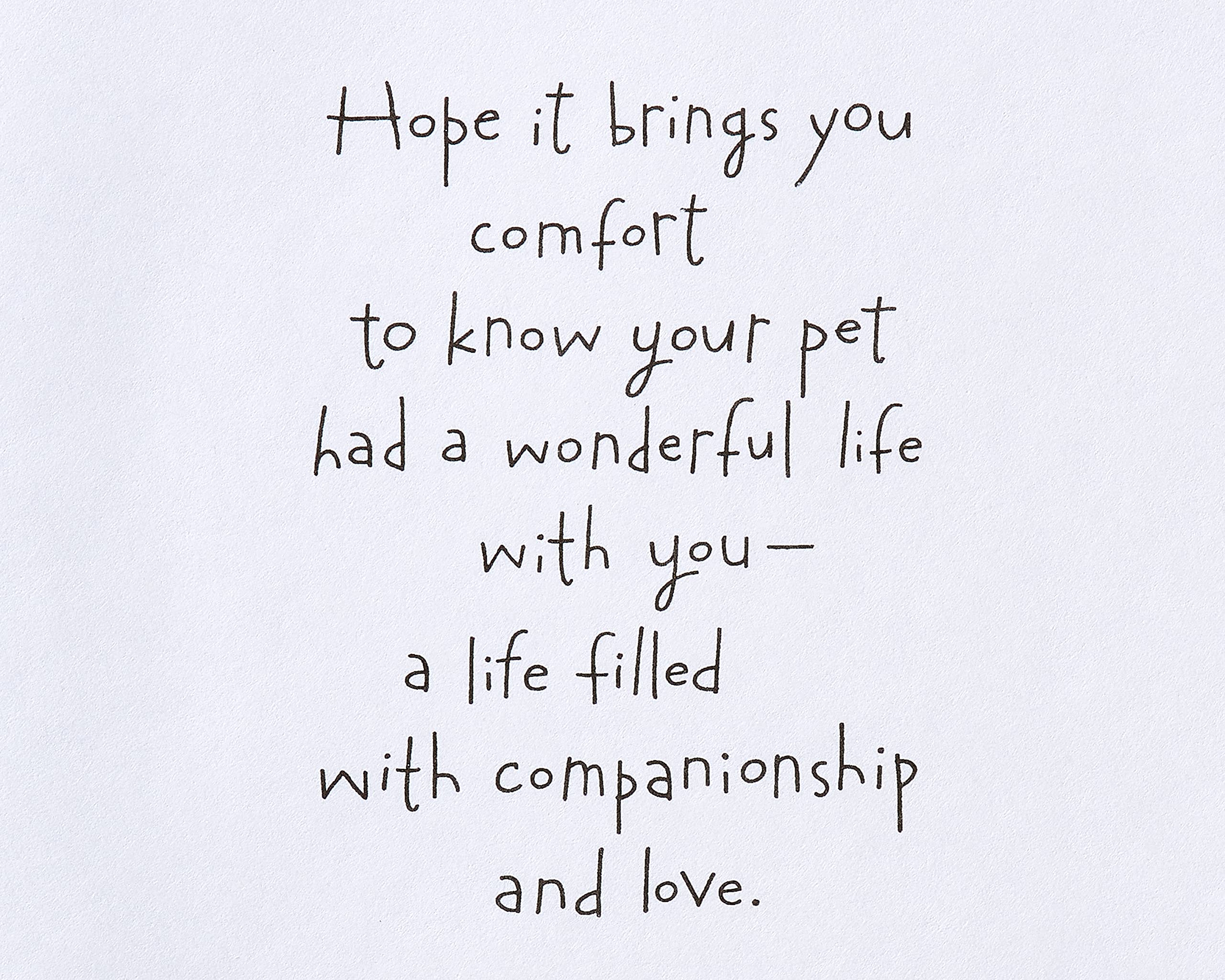 American Greetings Pet Sympathy Card (Our Animals Are Our Family)