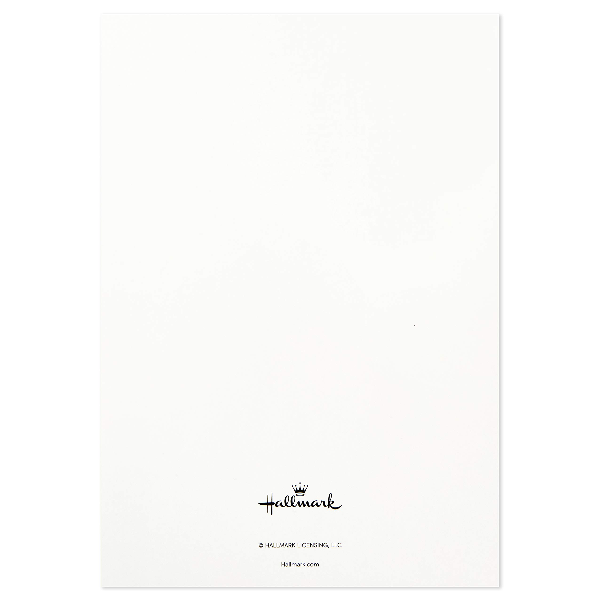 Hallmark Assorted Birthday Cards (Bright Icons, 12 Cards and Envelopes)