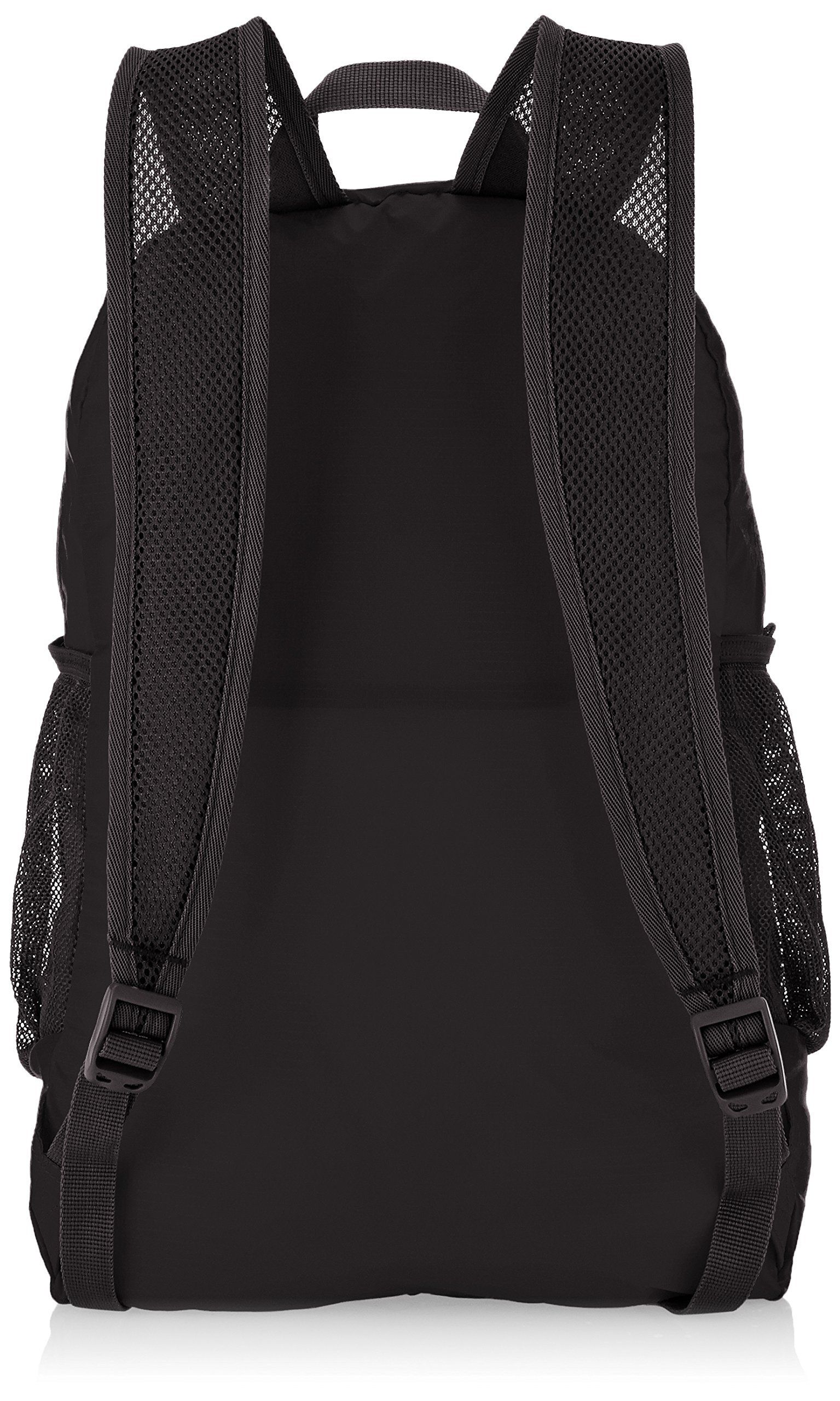 Amazon Basics Lightweight Packable Hiking Travel Day Pack Backpack - 17.5 x 17.5 x 11.5 Inches, 25 Liter, Black