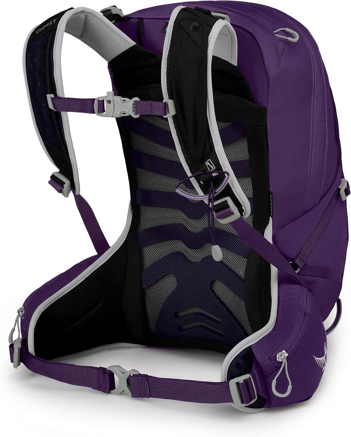 Osprey Tempest 20 Women's Hiking Backpack , Violac Purple, X-Small/Small