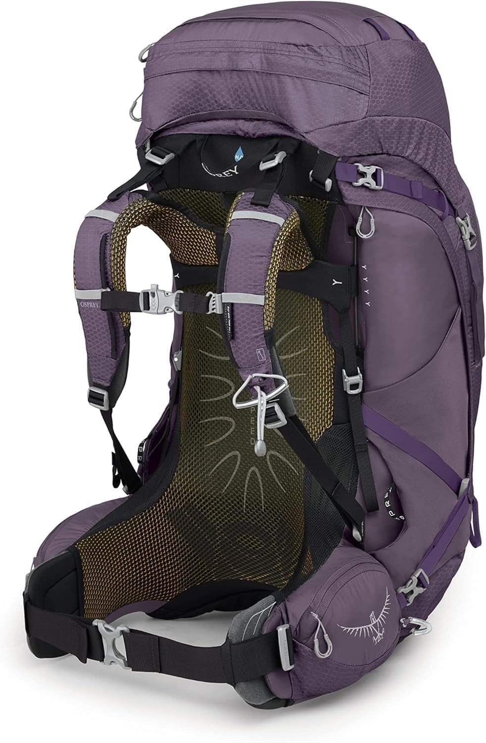 Osprey Aura AG 65 Women's Backpacking Backpack, Enchantment Purple, X-Small/Small