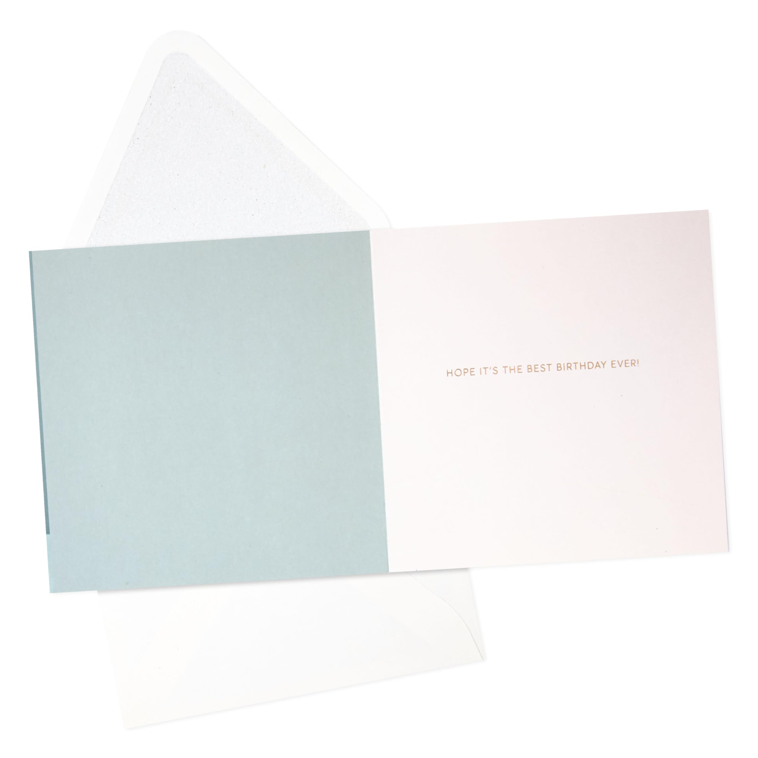 Hallmark Signature Birthday Card (Best Birthday Ever)