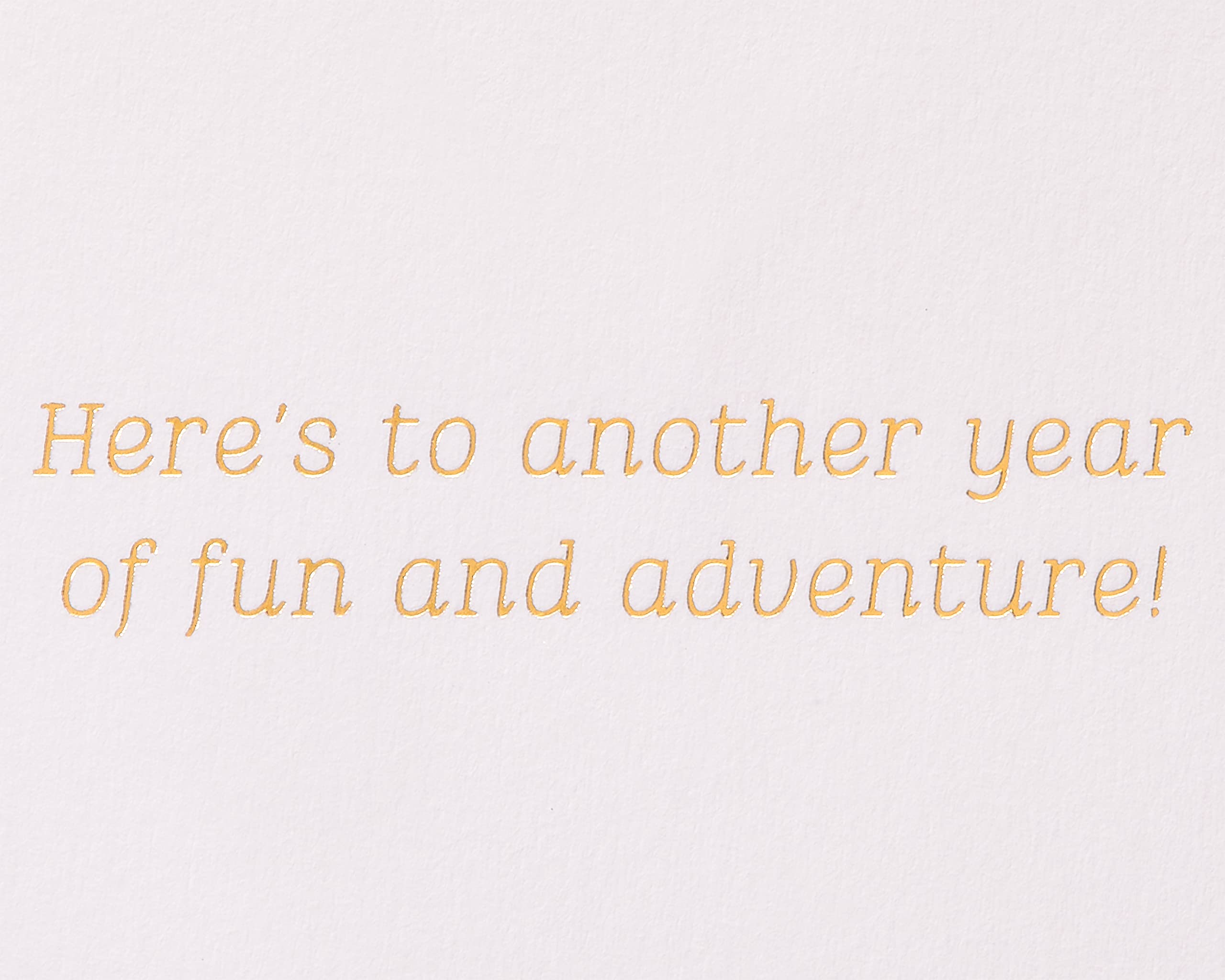 Papyrus Anniversary Card - Designed by House of Turnowsky (Another Year of Fun)