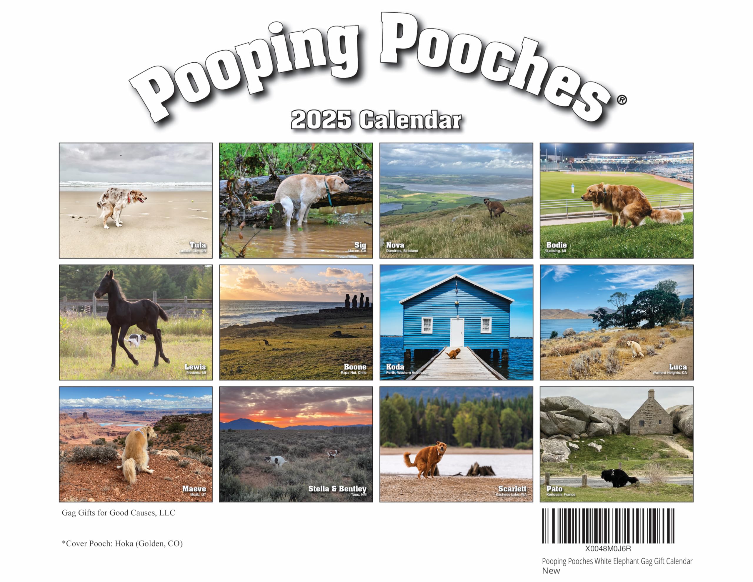 Pooping Pooches White Elephant Gag Gift Calendar