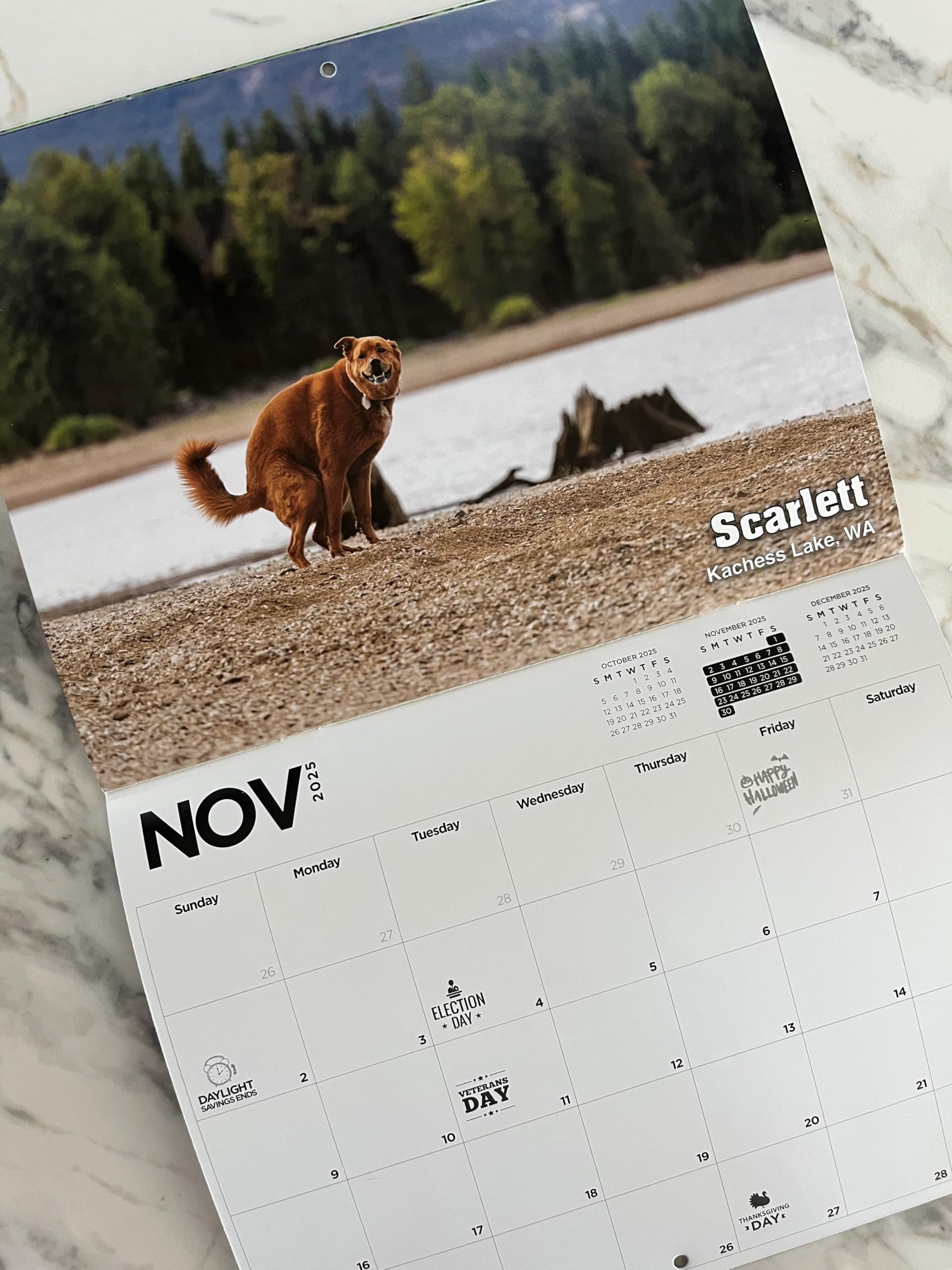 Pooping Pooches White Elephant Gag Gift Calendar