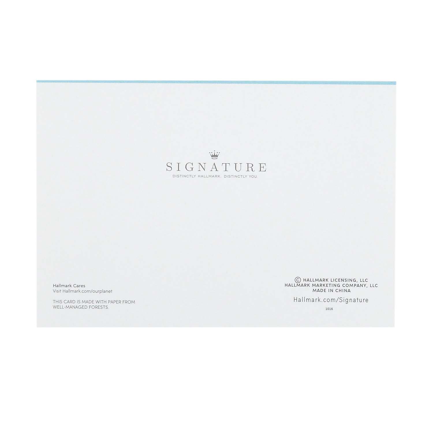 Hallmark Signature Birthday Card (Loads of Birthday Fun)