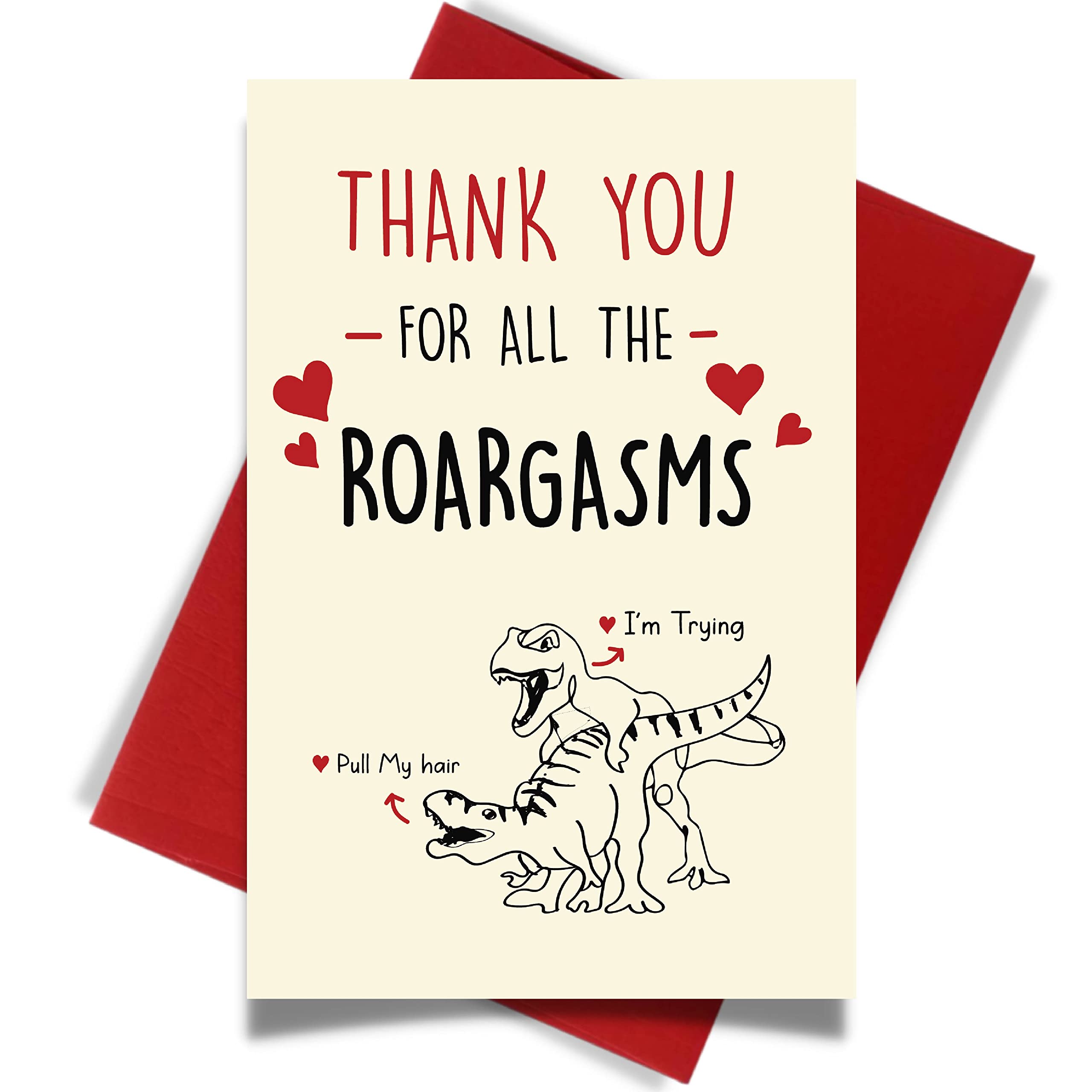 Cheerin Valentine's Day Cards for Him or Her | Anniversary Card | Gifts for Him or Her | Fun Gift Birthday Card for Husband Wife Boyfriend Girlfriend Men Women