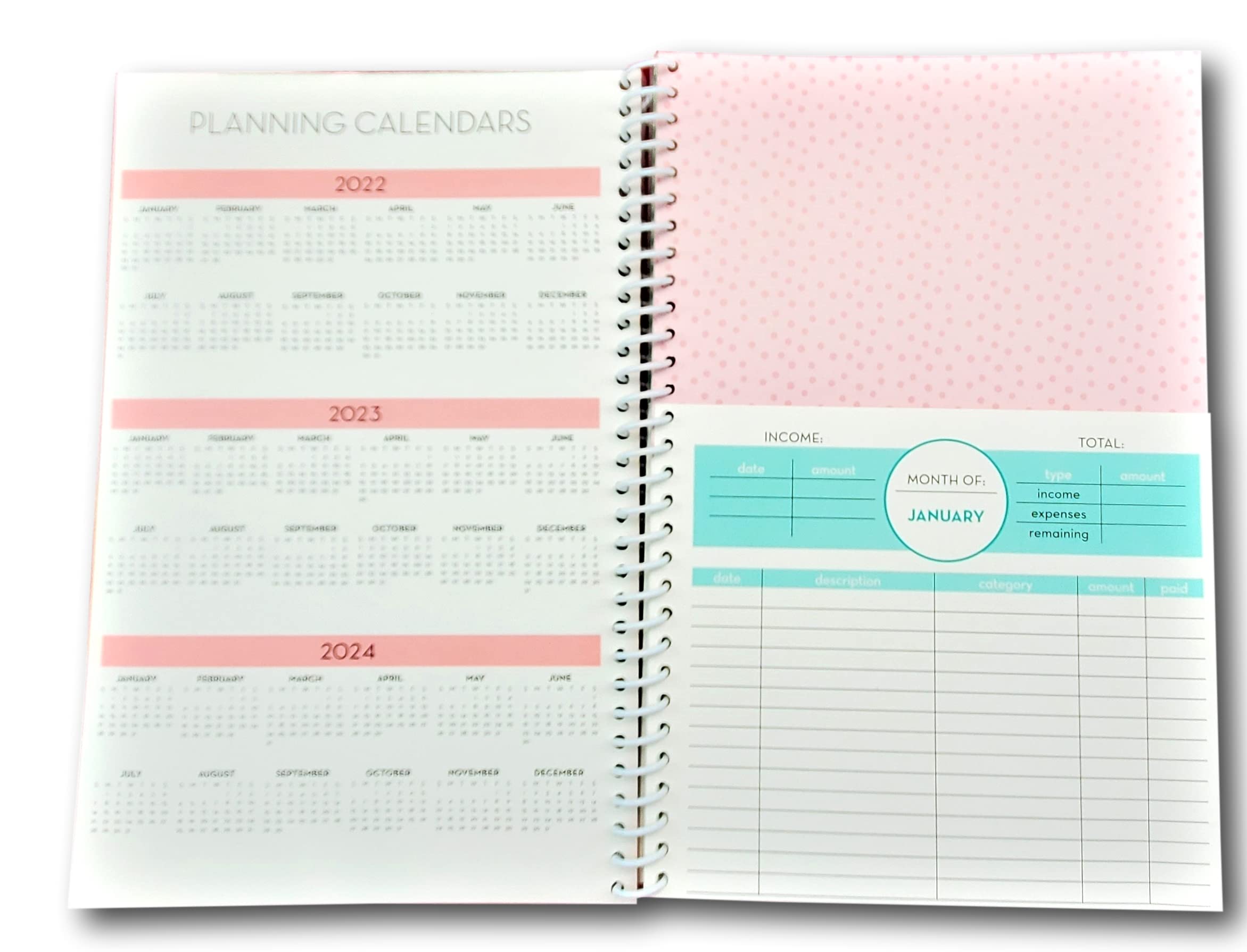 Home Finance & Bill Organizer with Pockets (Leaves On Pink)