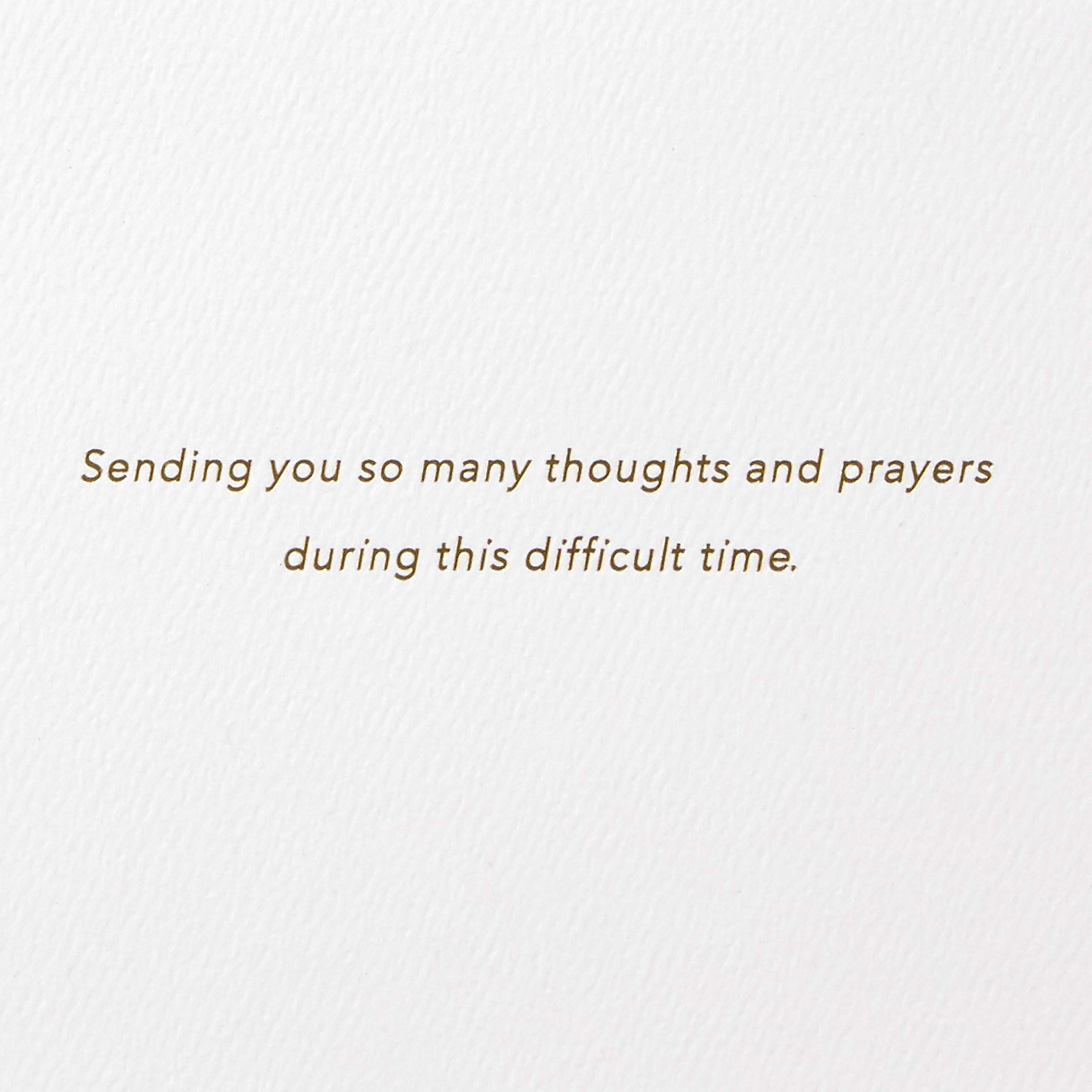 Hallmark Signature Sympathy Card (Many Thoughts and Prayers)